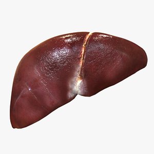 Human Liver Real