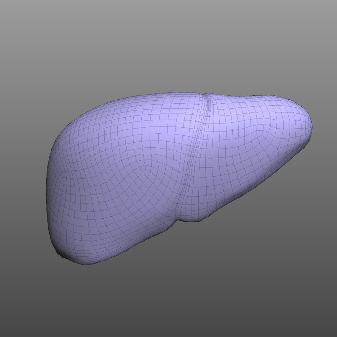 Human Liver Model - TurboSquid 1520237