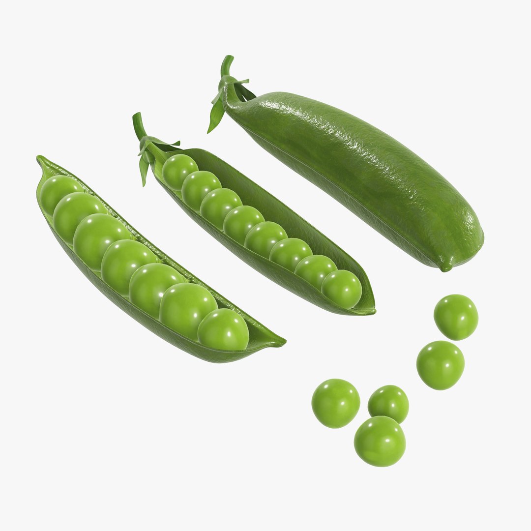 3D peas food vegetable - TurboSquid 1404295