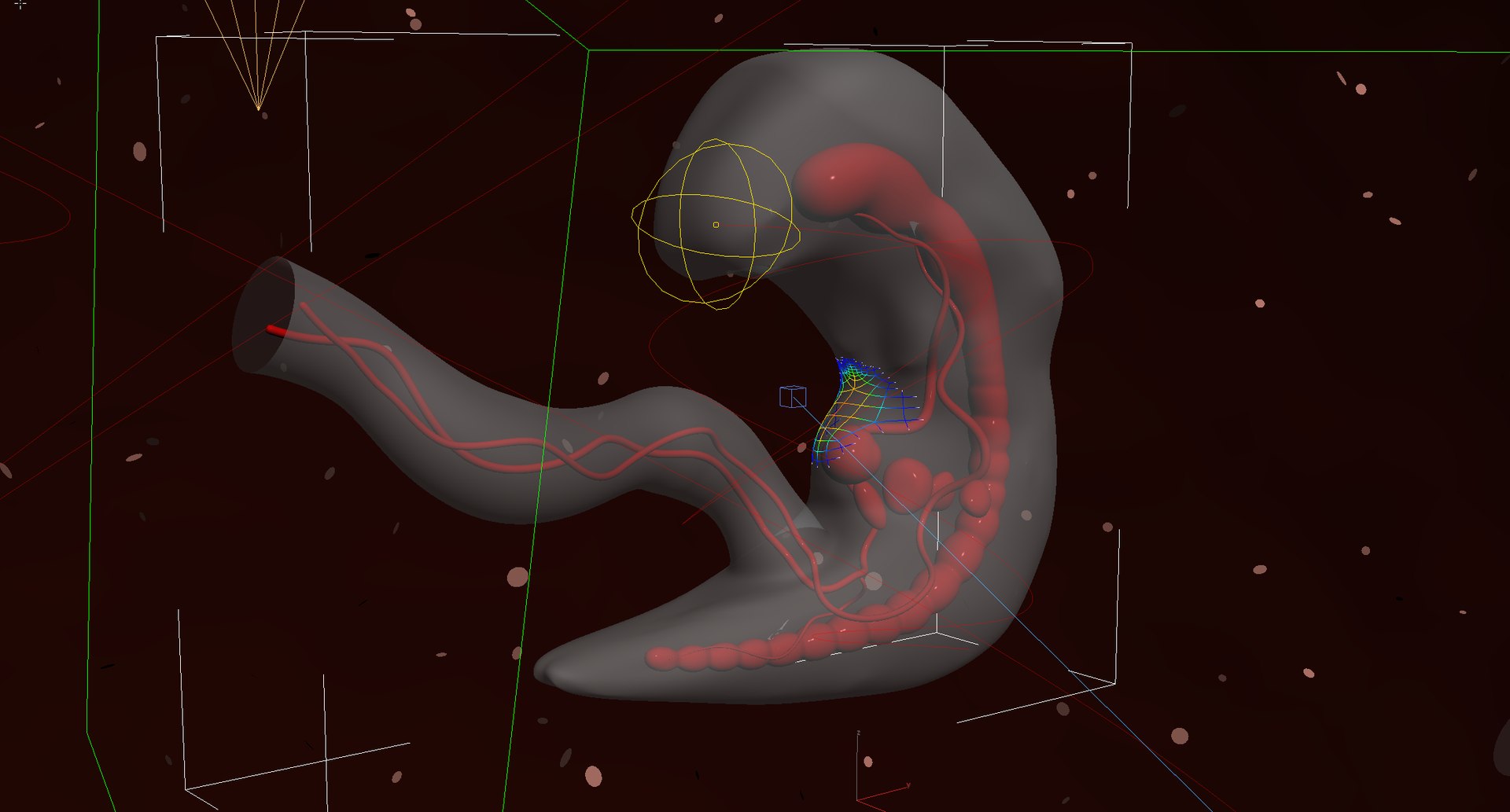 Human Embryo Development Animation 3D Model - TurboSquid 1872991