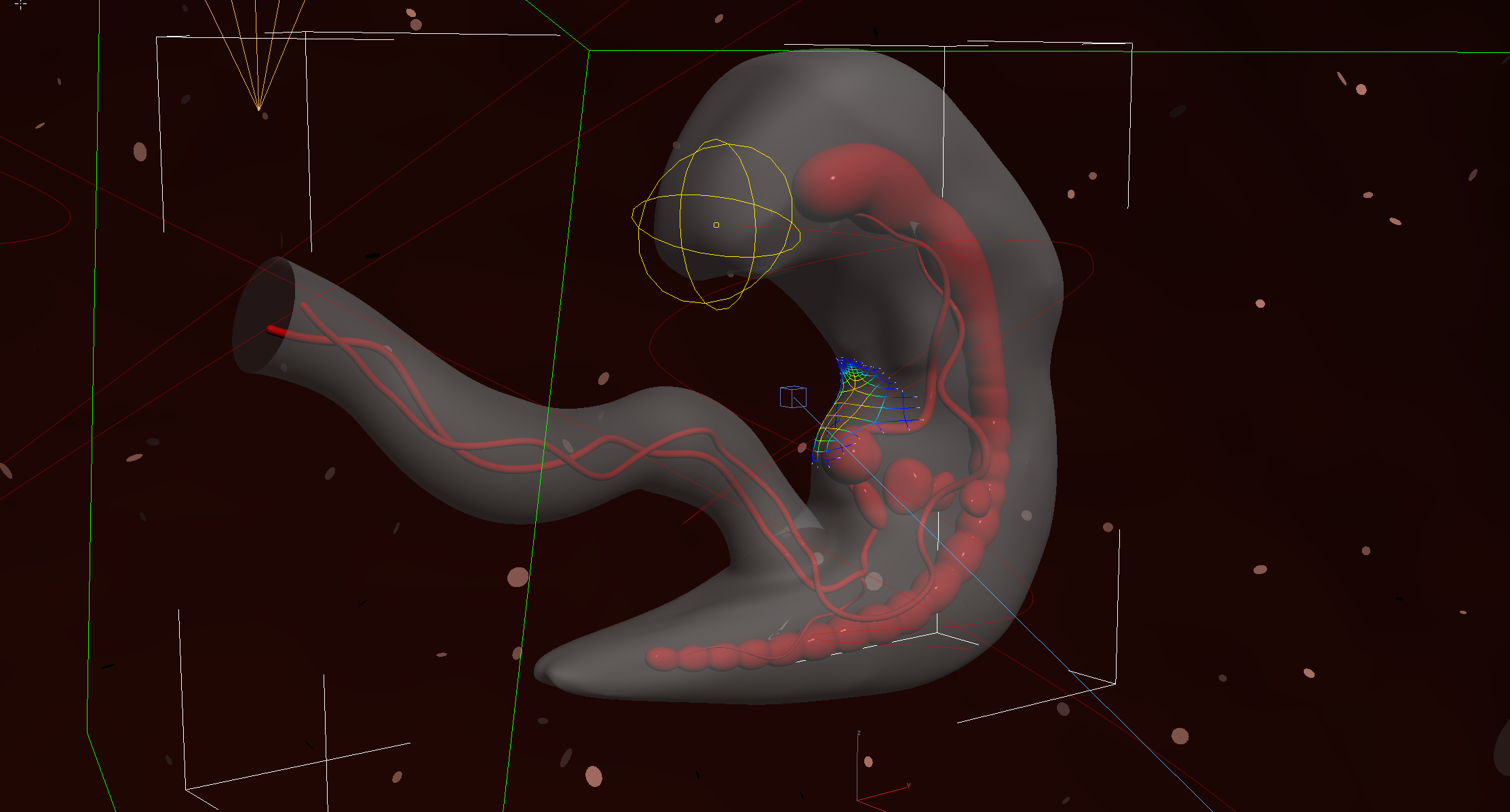 Human embryo development animation 3D model - TurboSquid 1872991