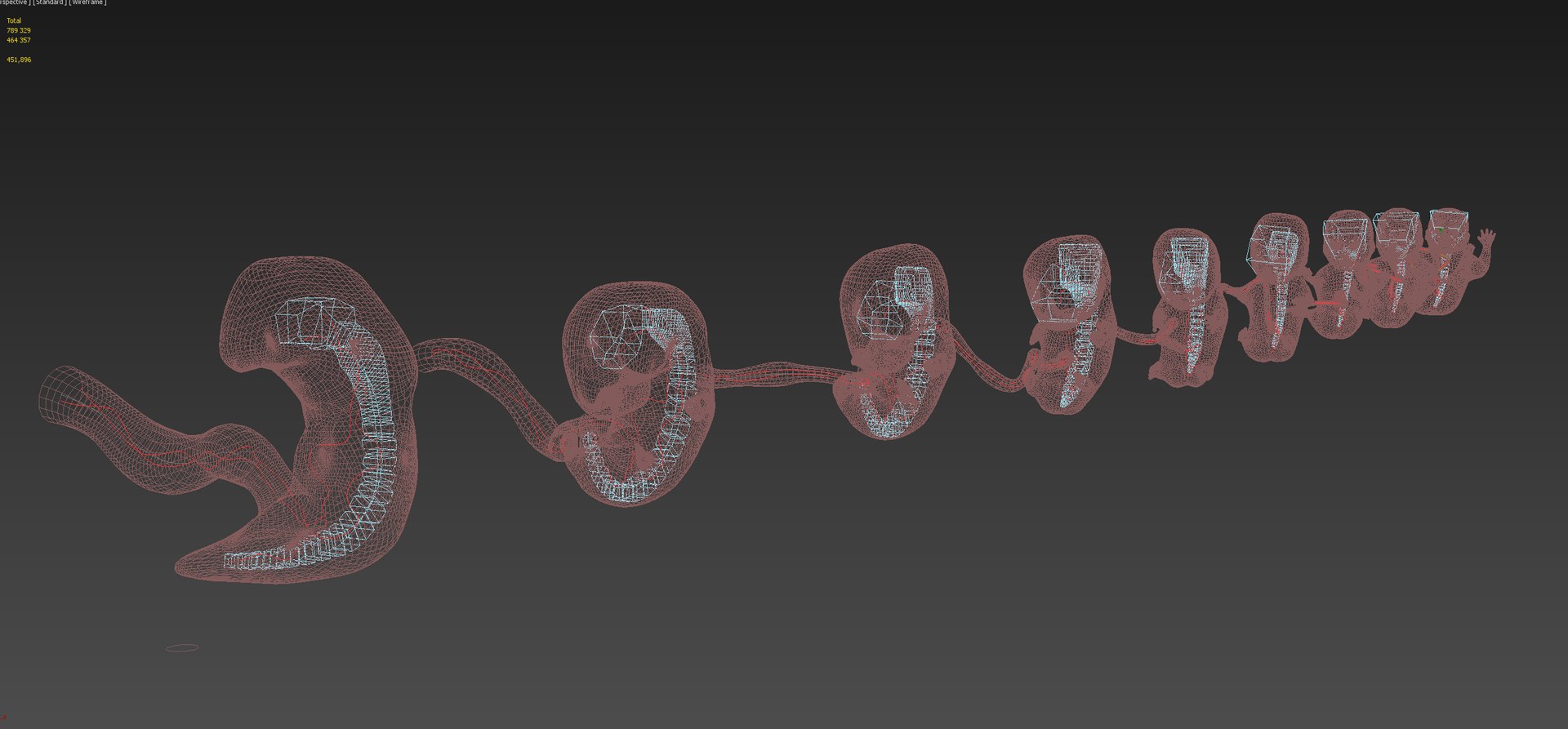 Human Embryo Development Animation 3D Model - TurboSquid 1872991