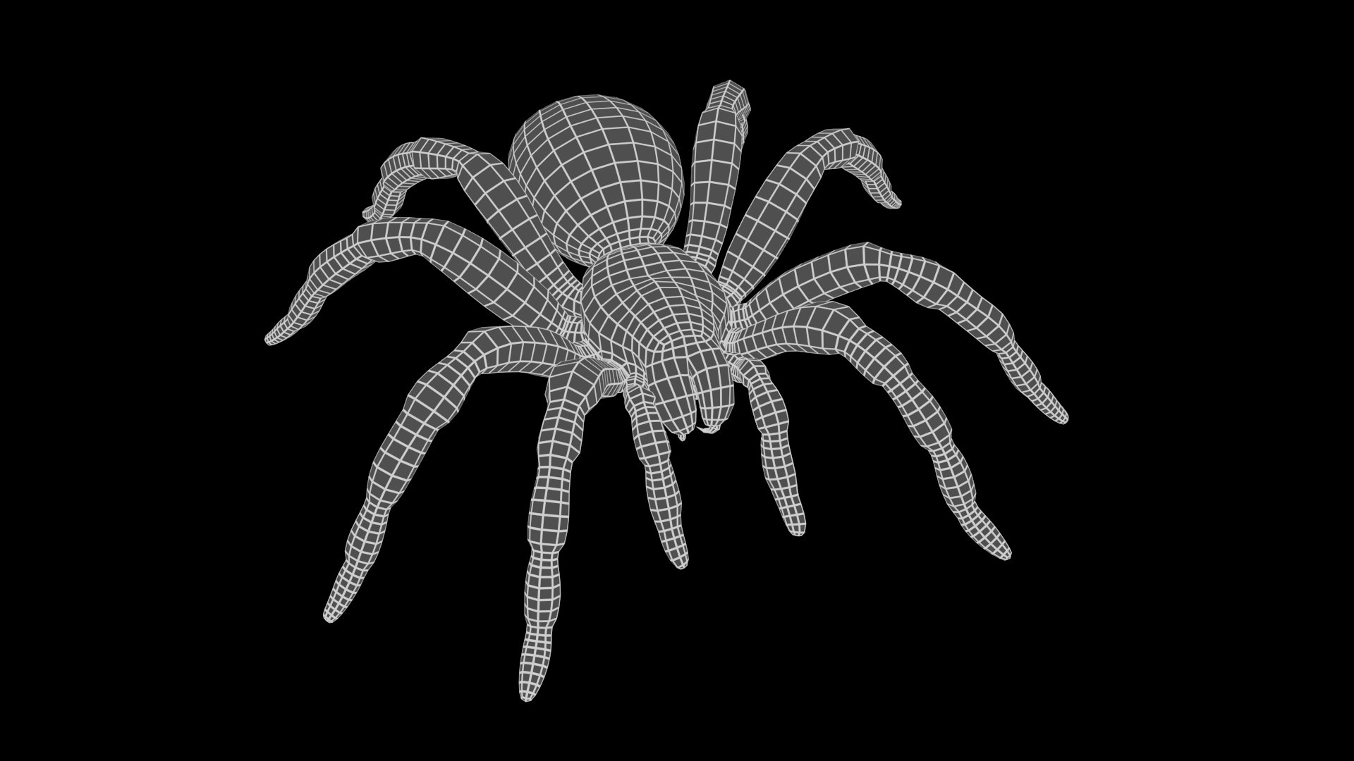 3D Tarantula Model - TurboSquid 2159090