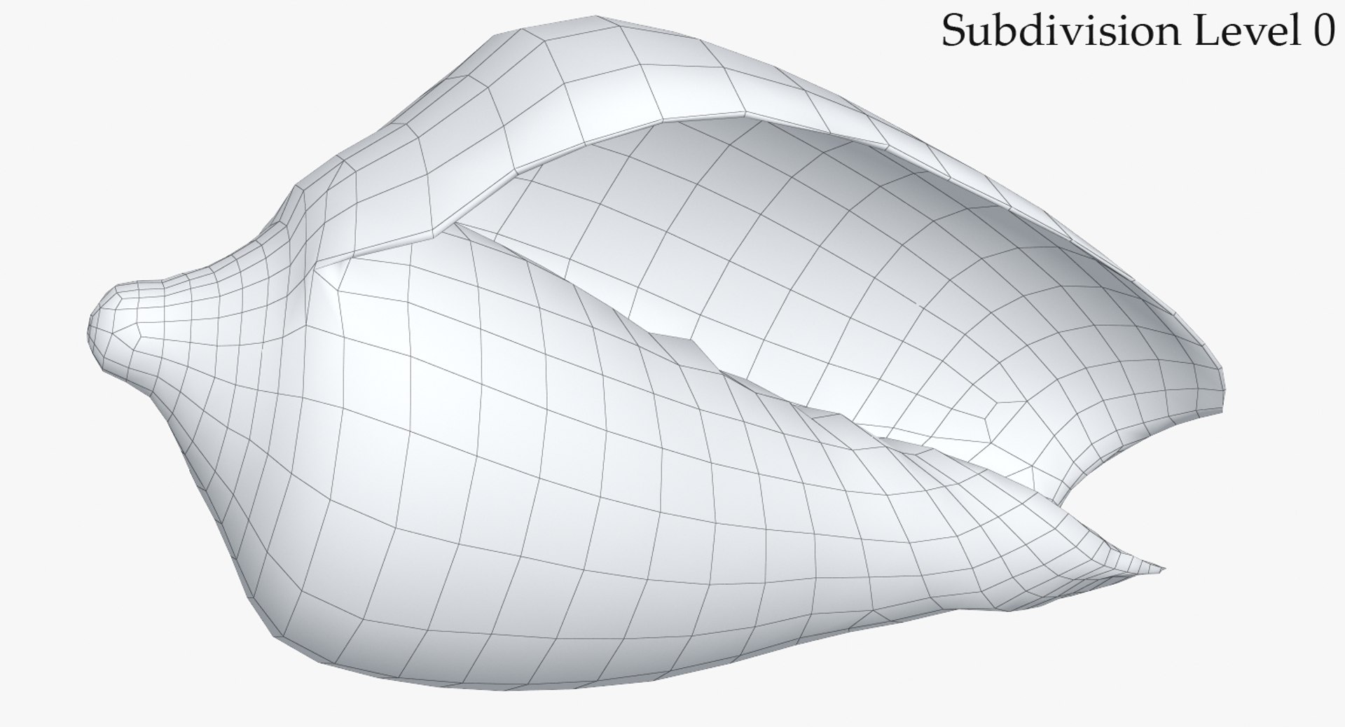 3D seashell noble volute cymbiola - TurboSquid 1170738