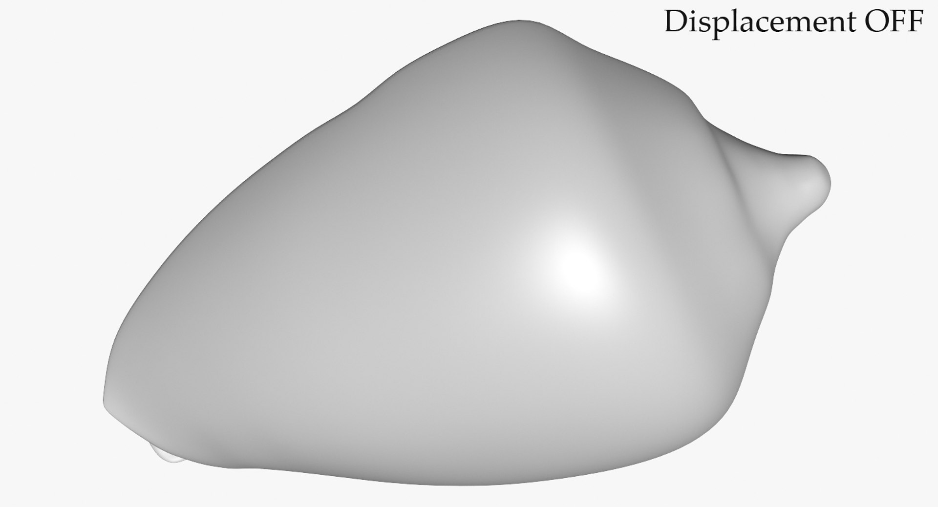 3D seashell noble volute cymbiola - TurboSquid 1170738