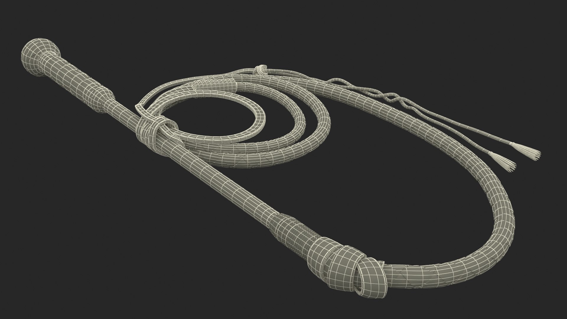 3D Model Leather Whip Braided Brown Rigged For Cinema 4D - TurboSquid ...