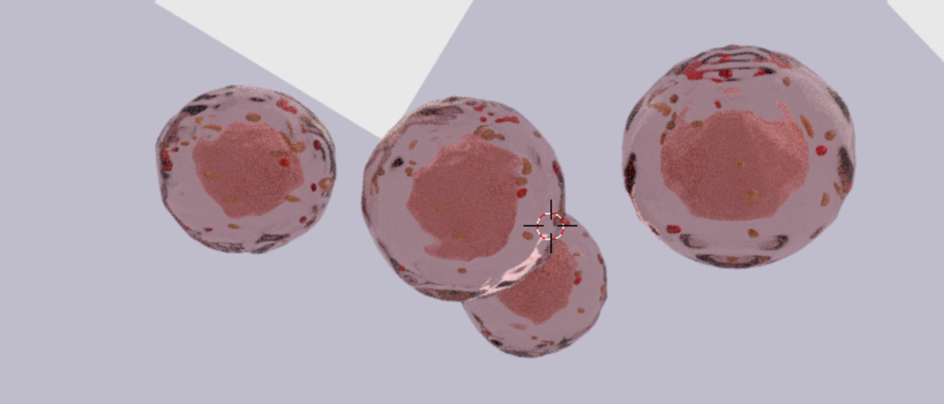 Cell Cycles 3D - TurboSquid 1375198