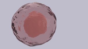 3D Fat Cell Models - Browse & Download Formats - TurboSquid