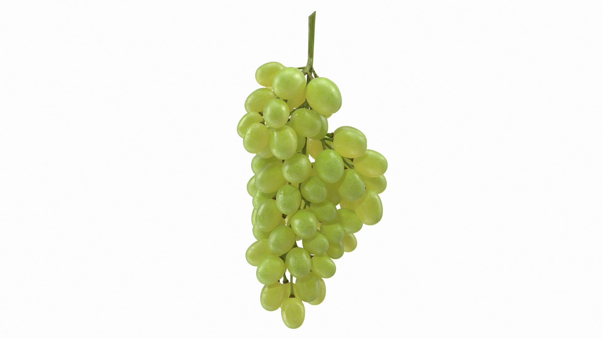 Wine Bottle With Grapes Collection 2 3D Model - TurboSquid 1868998