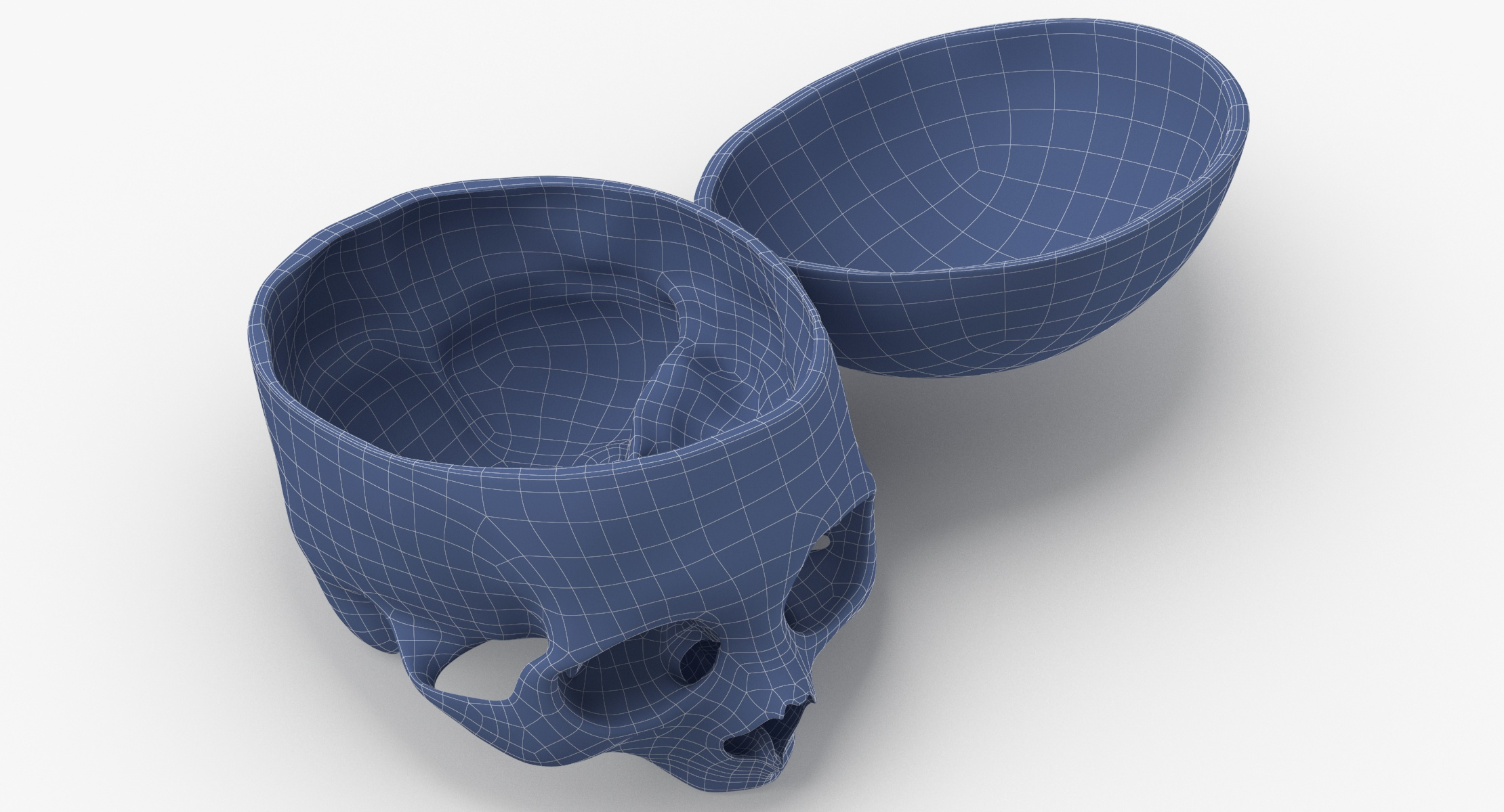 modelo 3d Cráneo humano real Cráneo 02 Corte con pose de pieza 01 ...