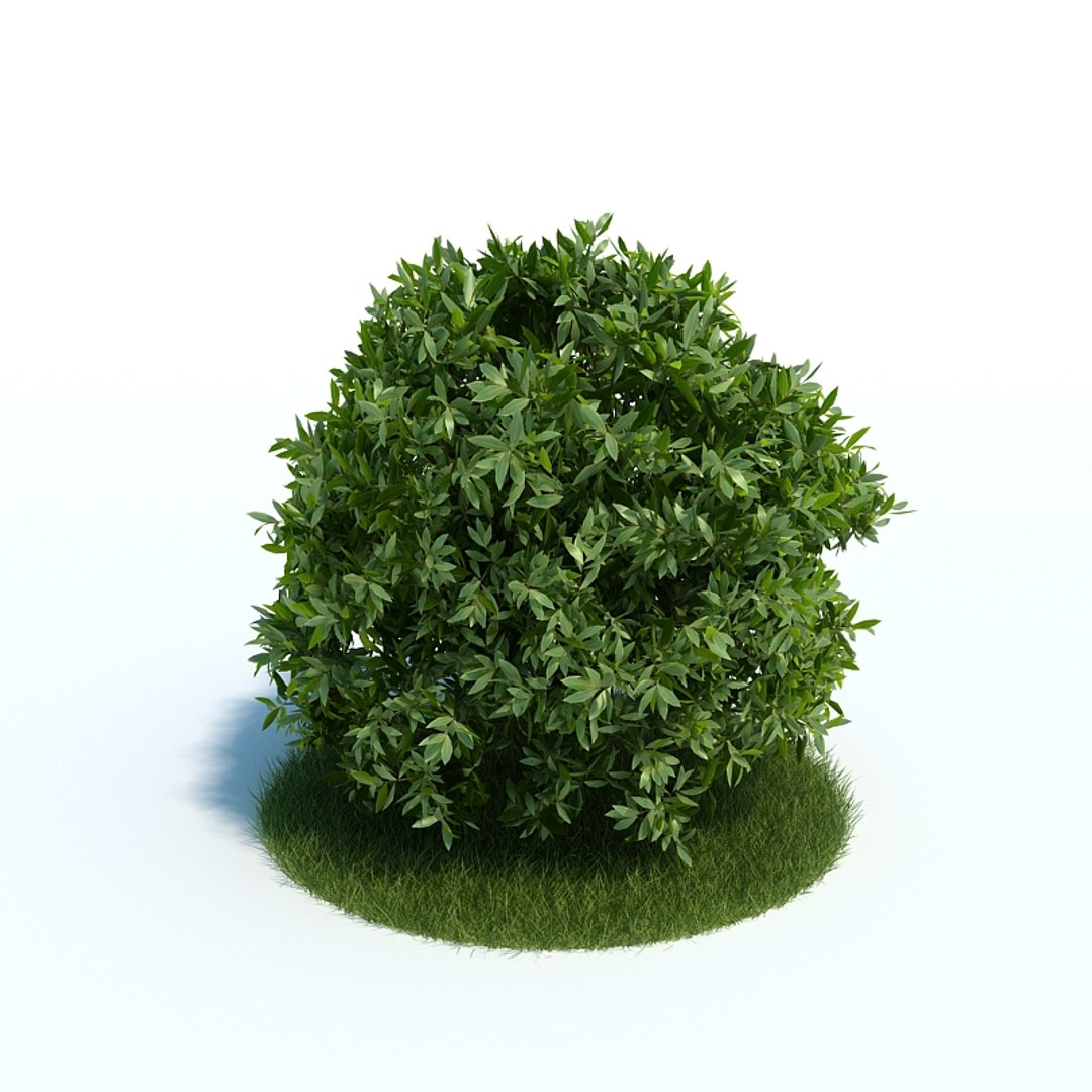 3d model archmodels vol 61 plants