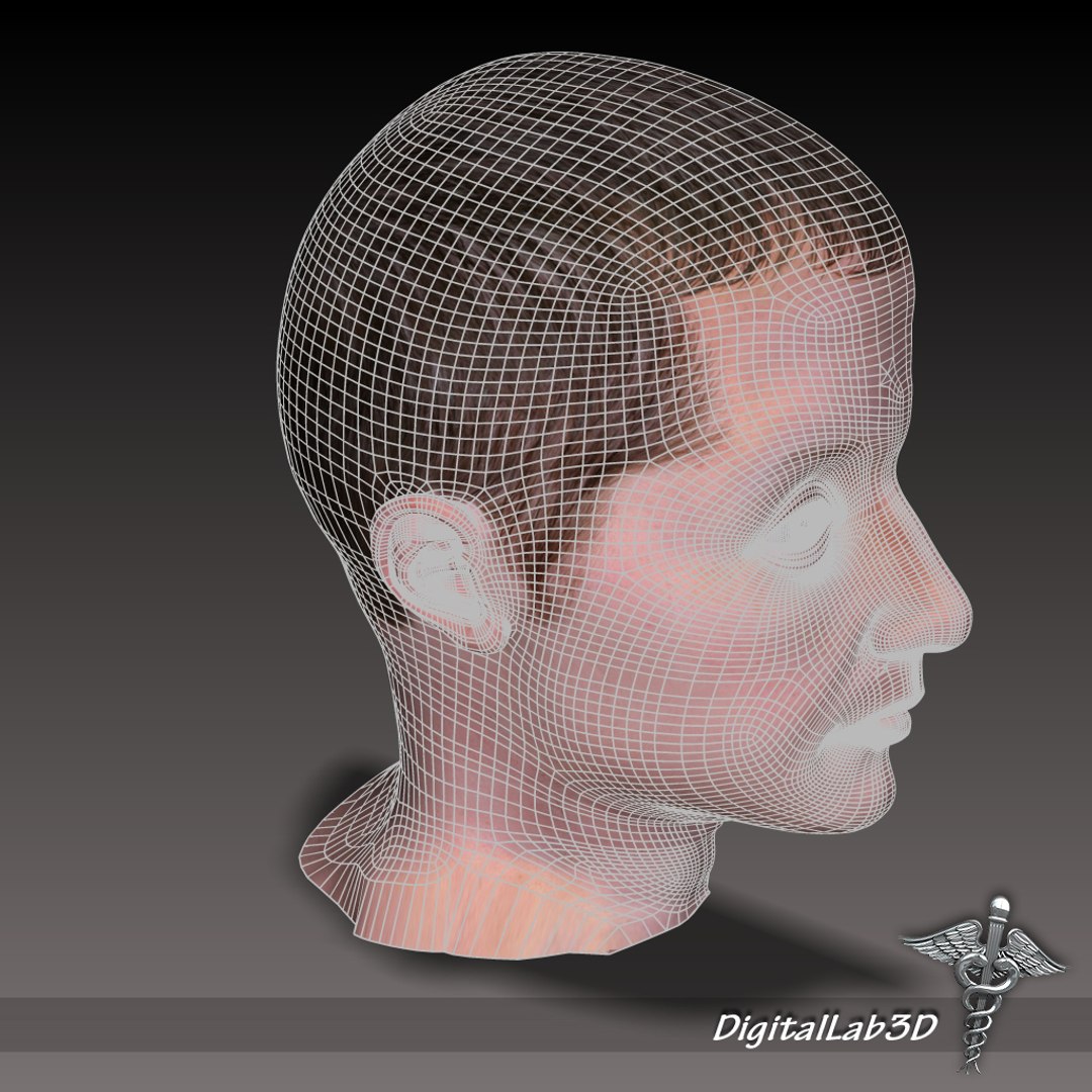 Human Head Anatomy Body 3ds