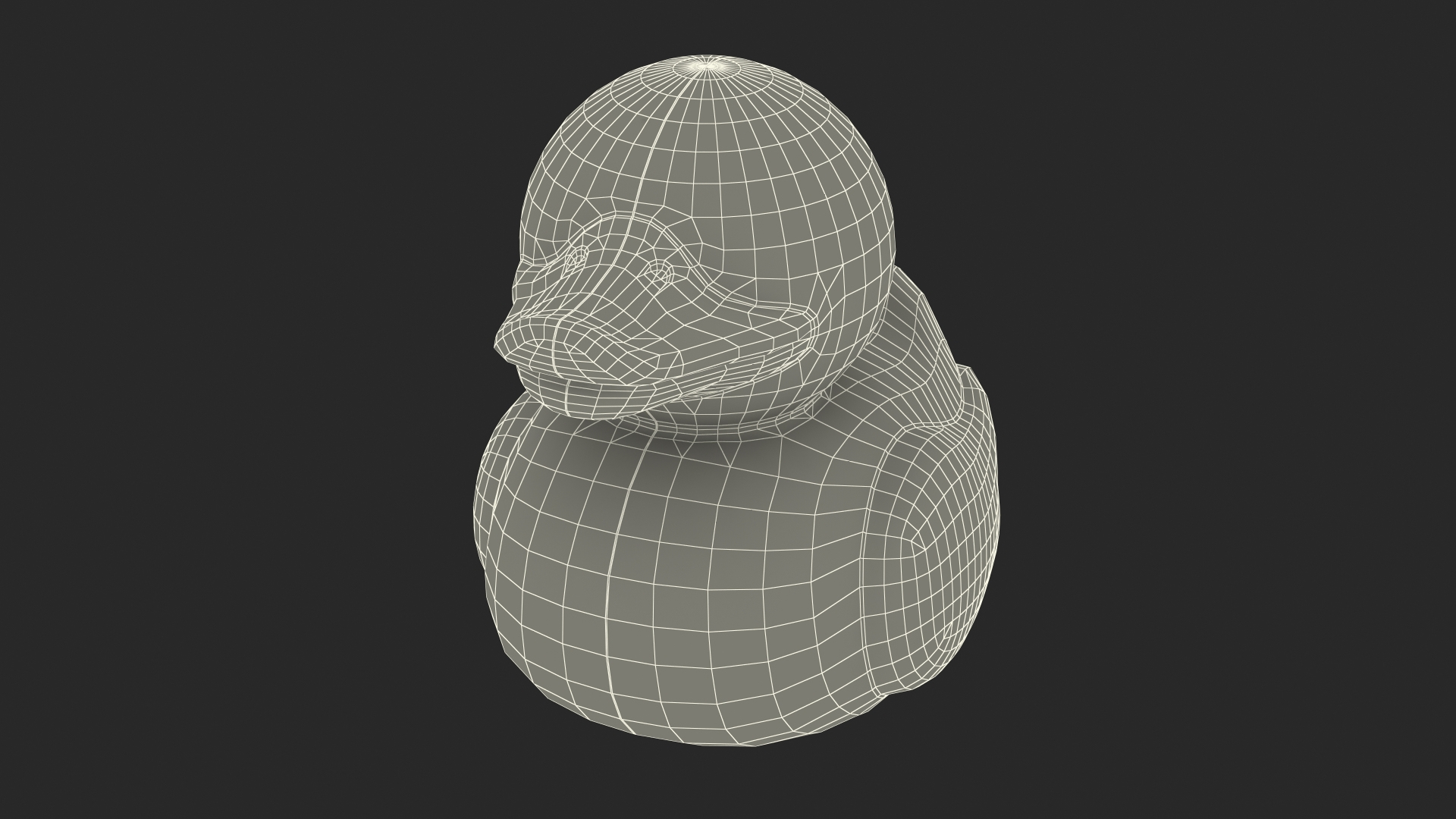 Bath Duck Anatomy Glass Half Shell 3D Model - TurboSquid 1839915