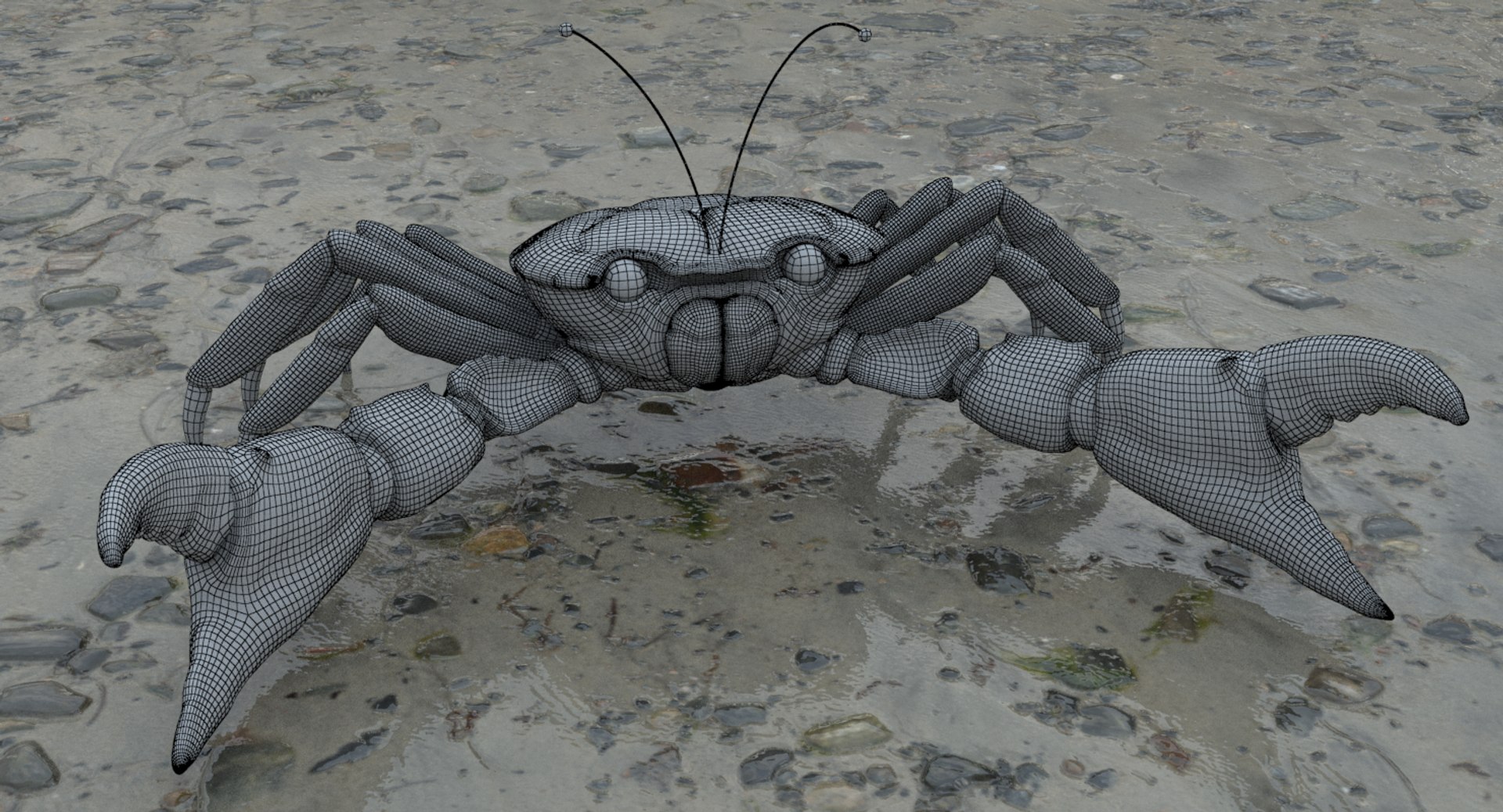 3D crab model - TurboSquid 1316330