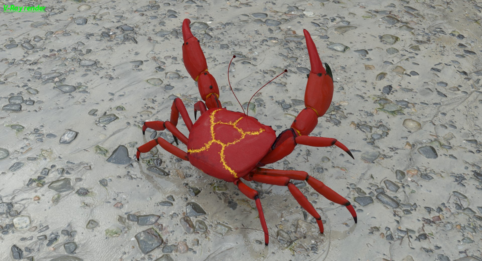 3D crab model - TurboSquid 1316330