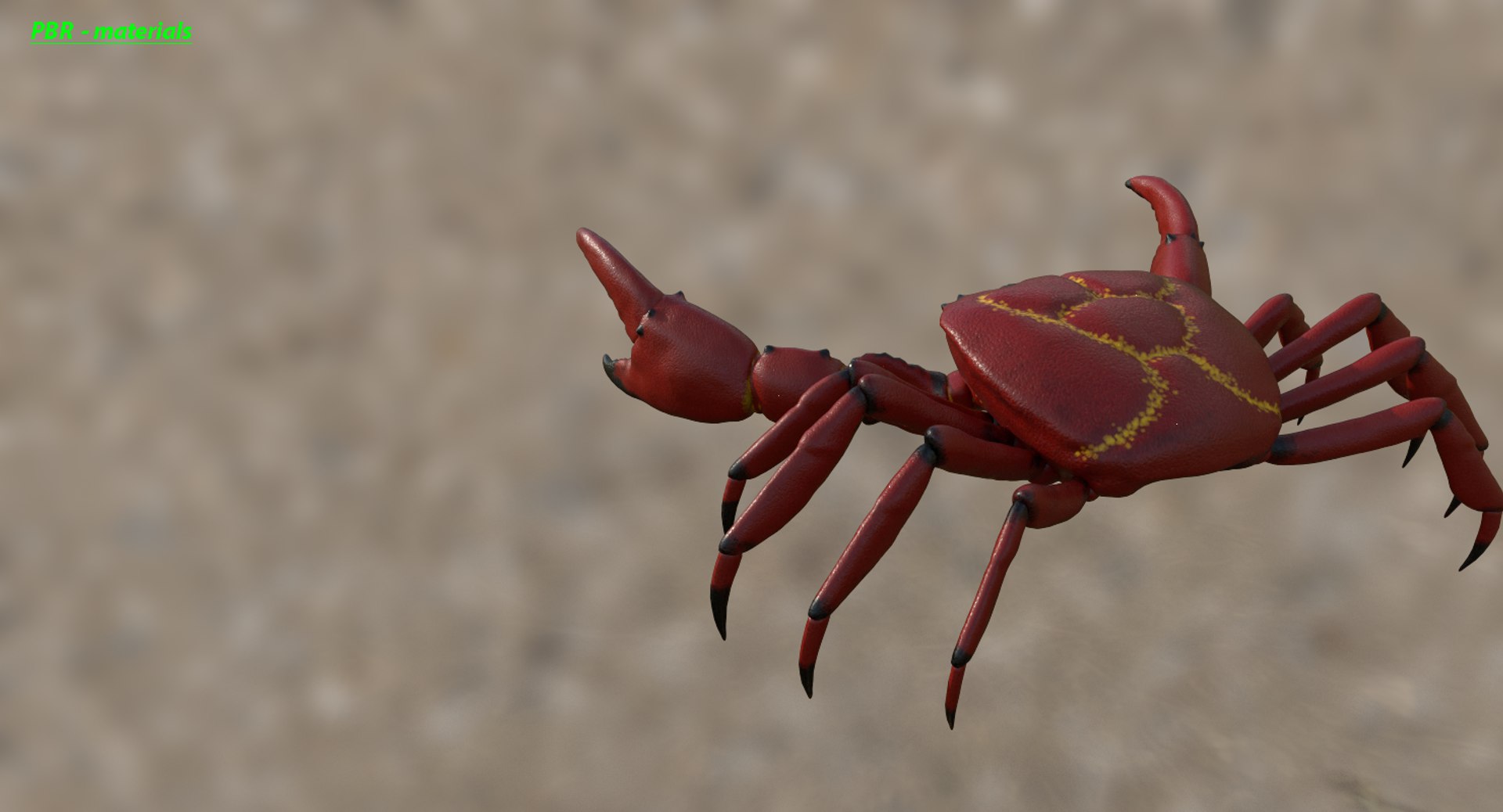 3D crab model - TurboSquid 1316330
