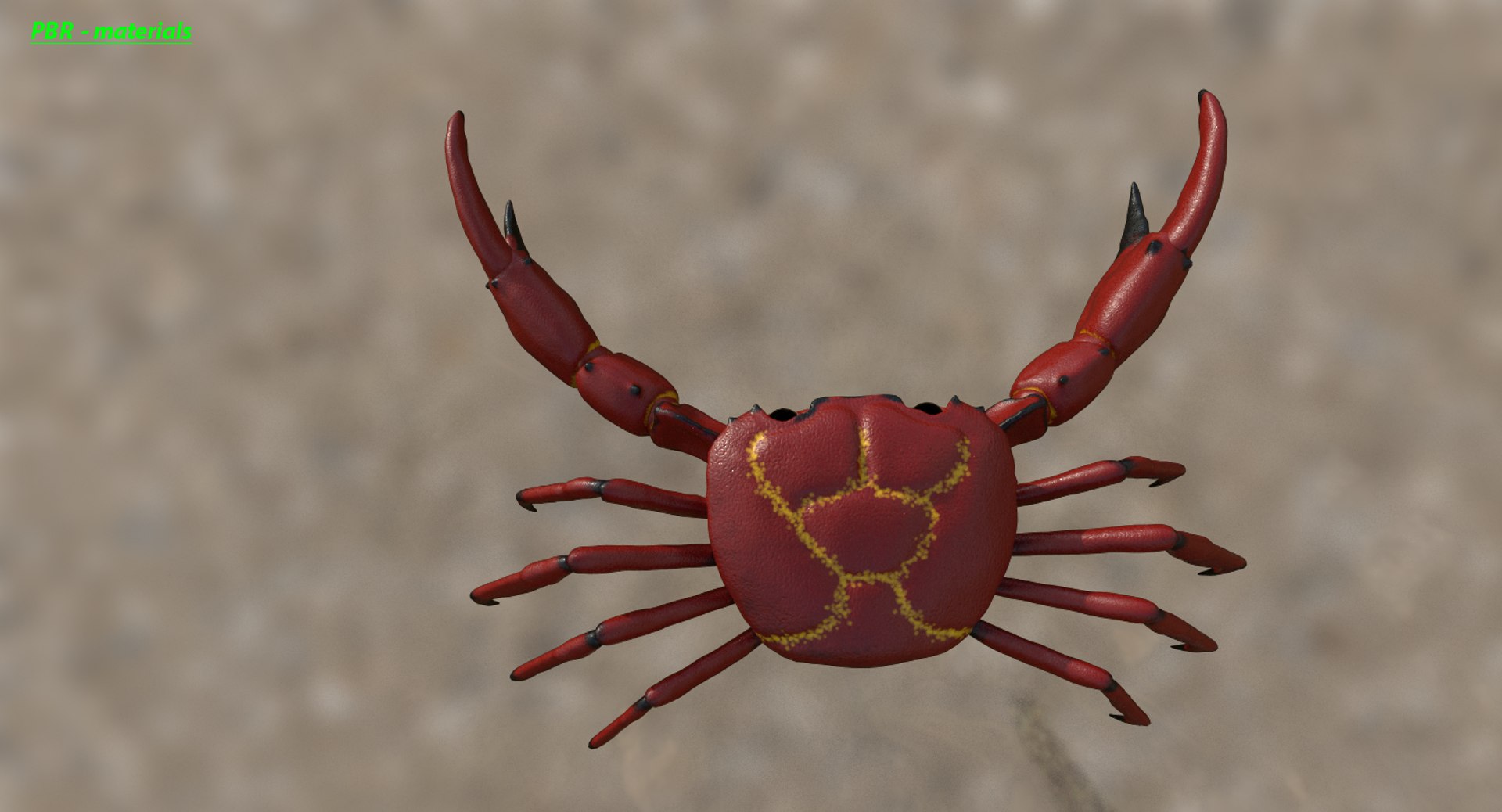 3D crab model - TurboSquid 1316330