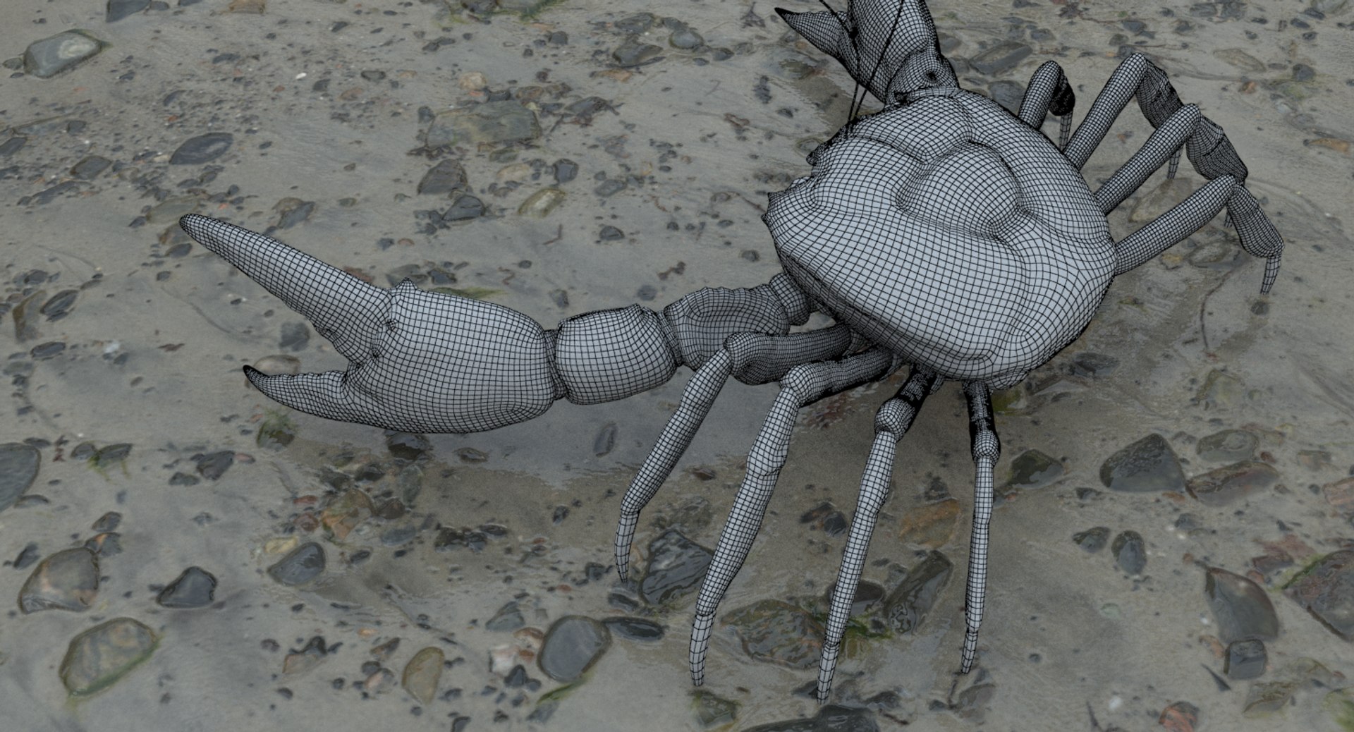 3D crab model - TurboSquid 1316330