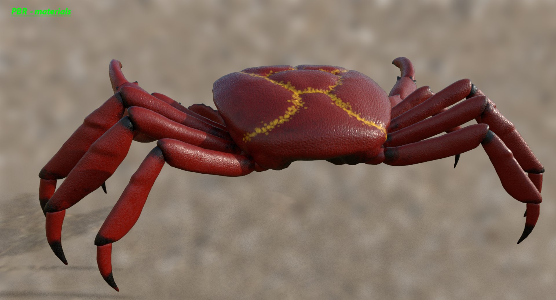 3D crab model - TurboSquid 1316330