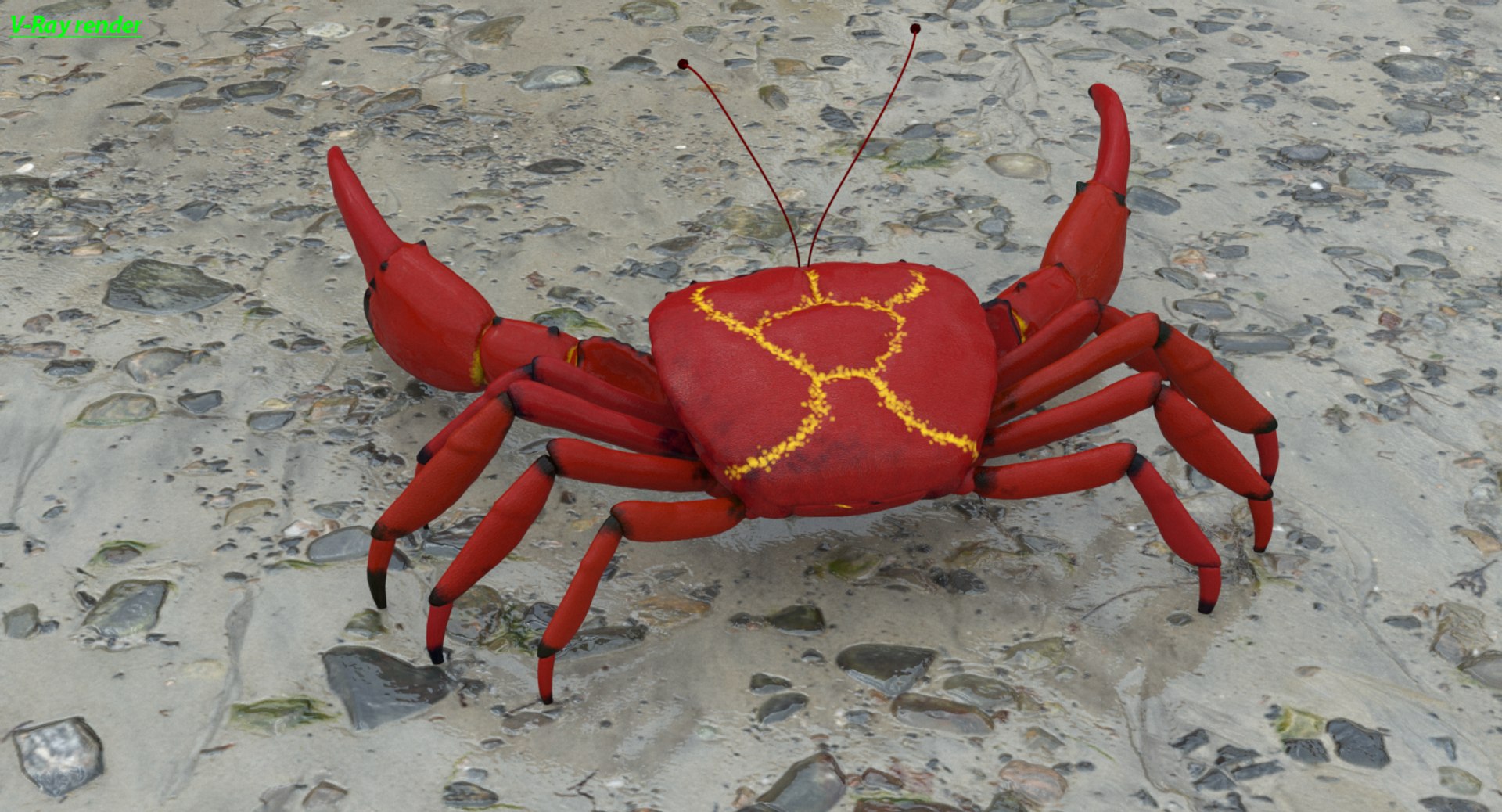 3D crab model - TurboSquid 1316330