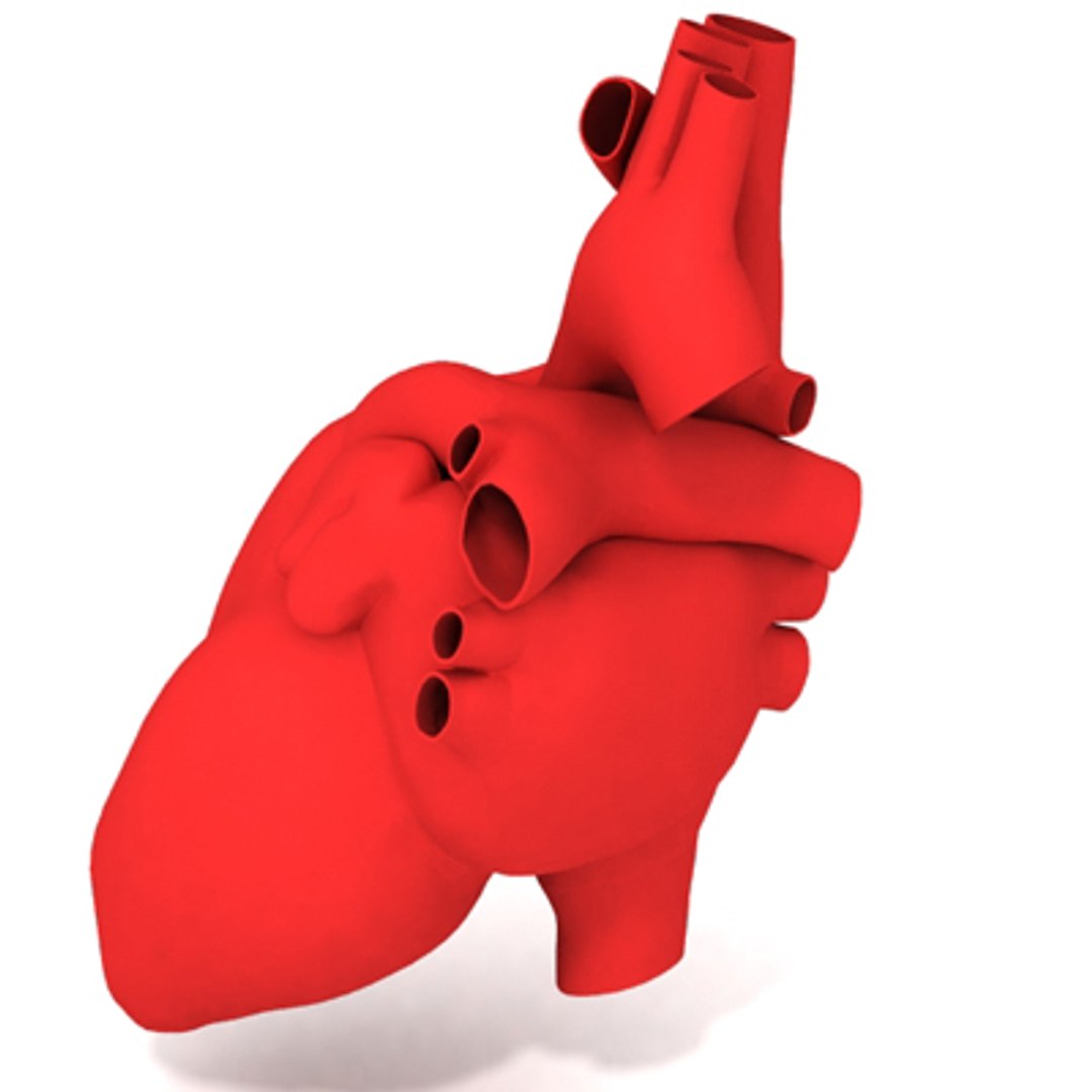 Baby Heart 3d Model