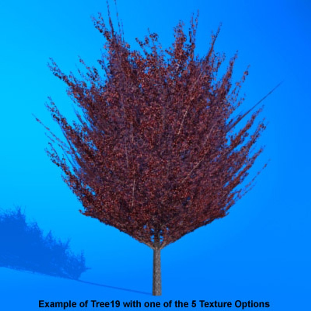 trees bark architectural 3d model