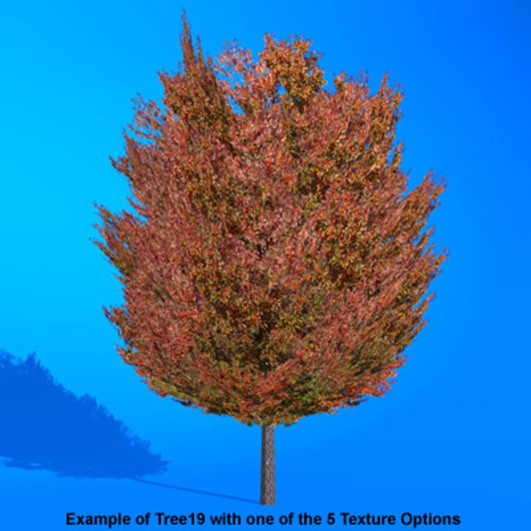 trees bark architectural 3d model