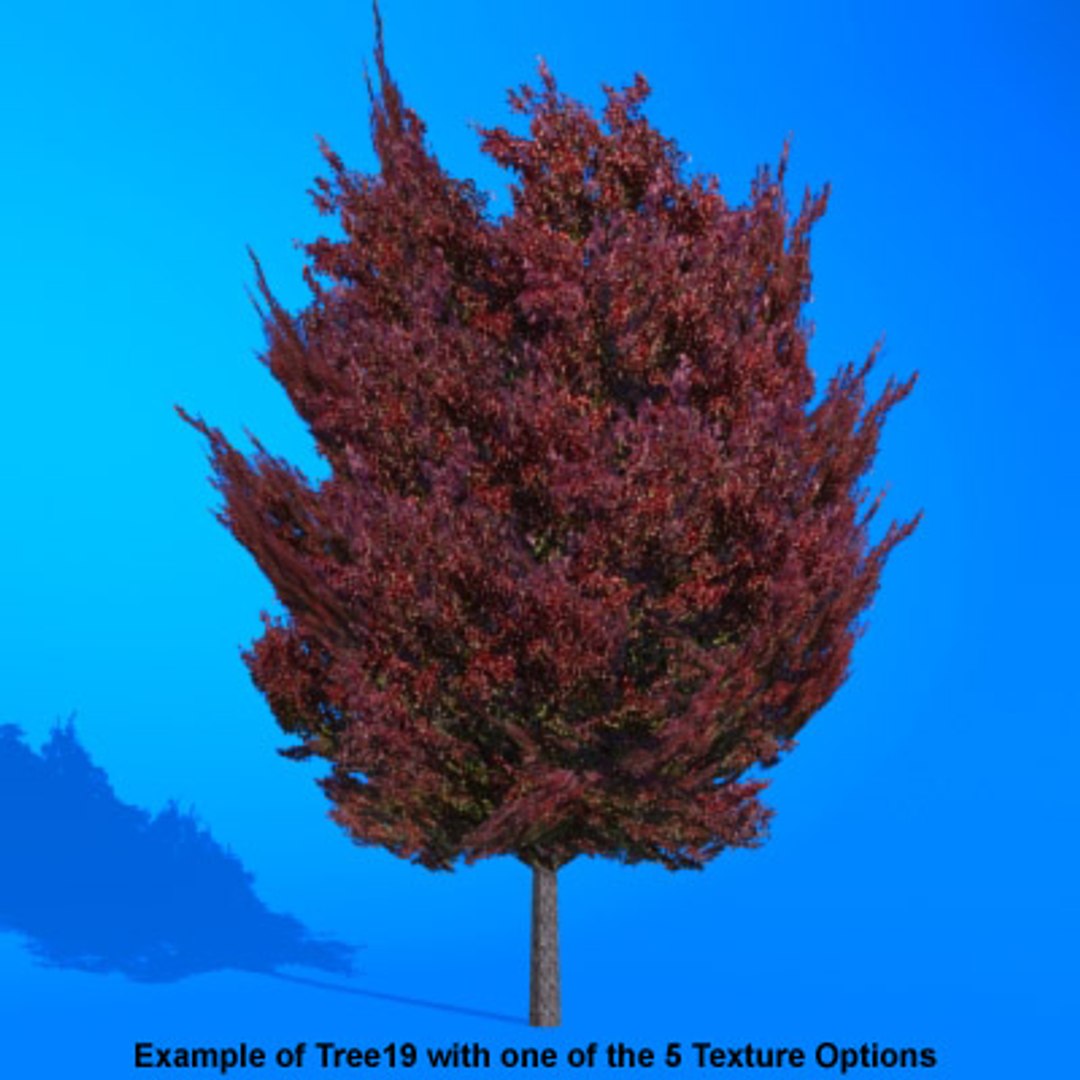 trees bark architectural 3d model