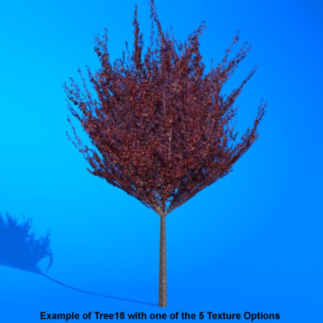 trees bark architectural 3d model