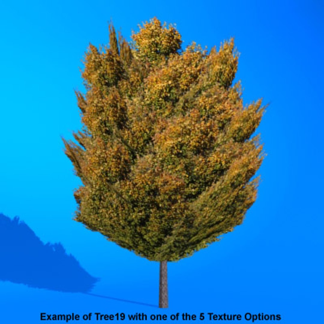 trees bark architectural 3d model