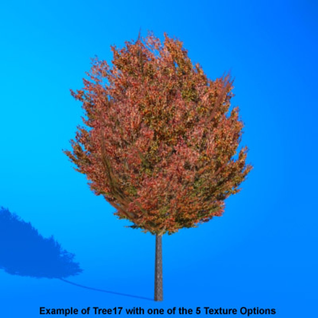 trees bark architectural 3d model
