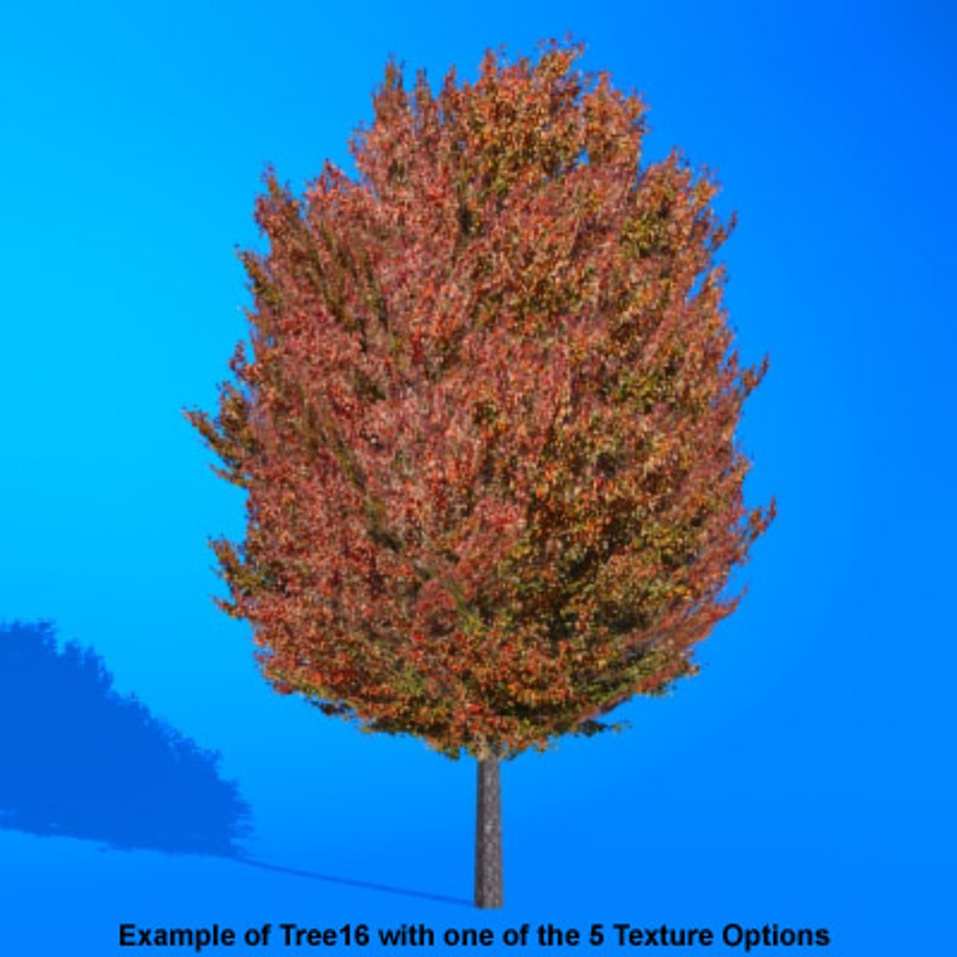 trees bark architectural 3d model