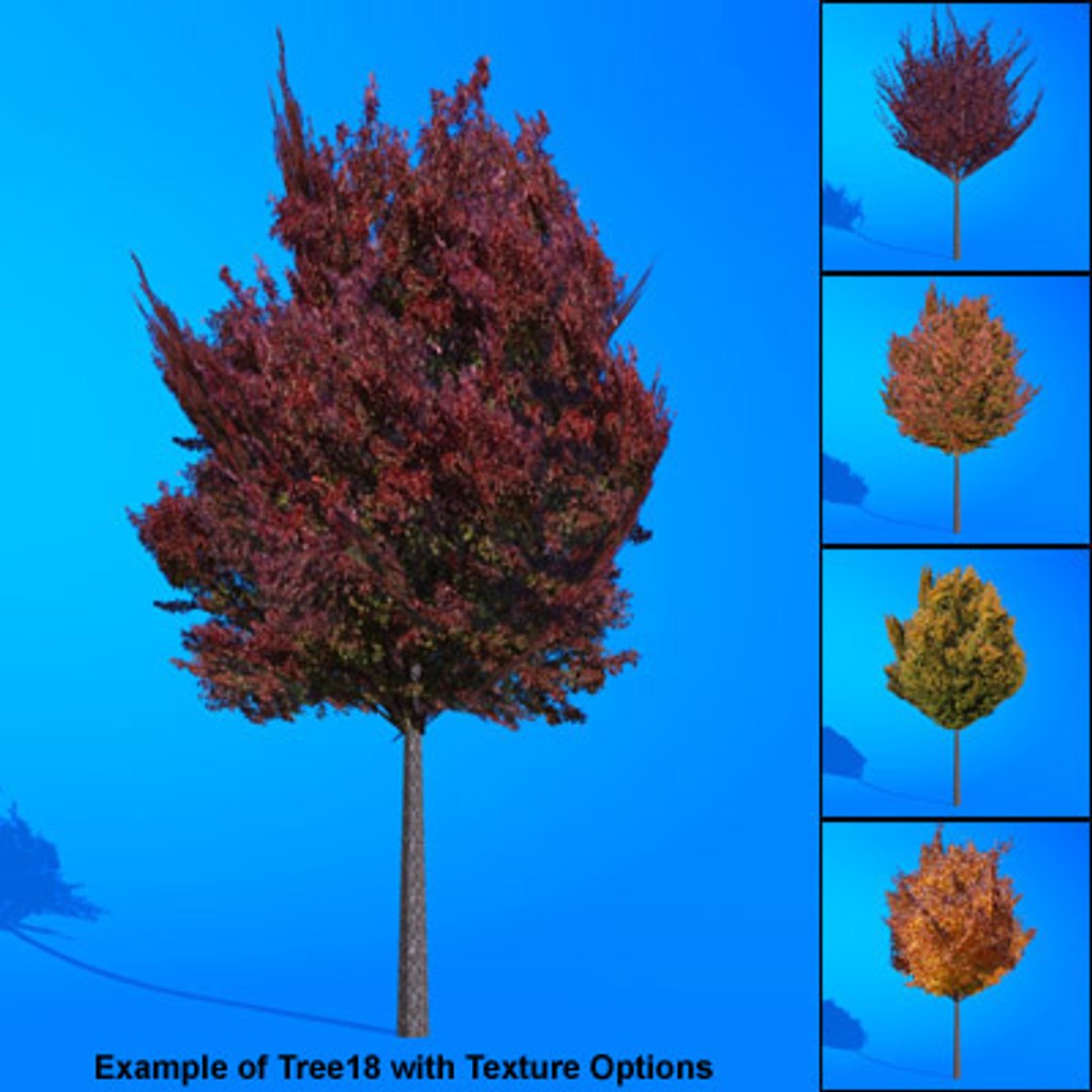 trees bark architectural 3d model