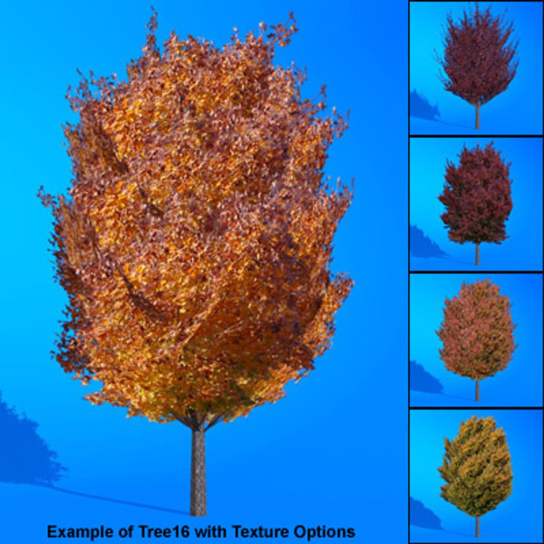 trees bark architectural 3d model