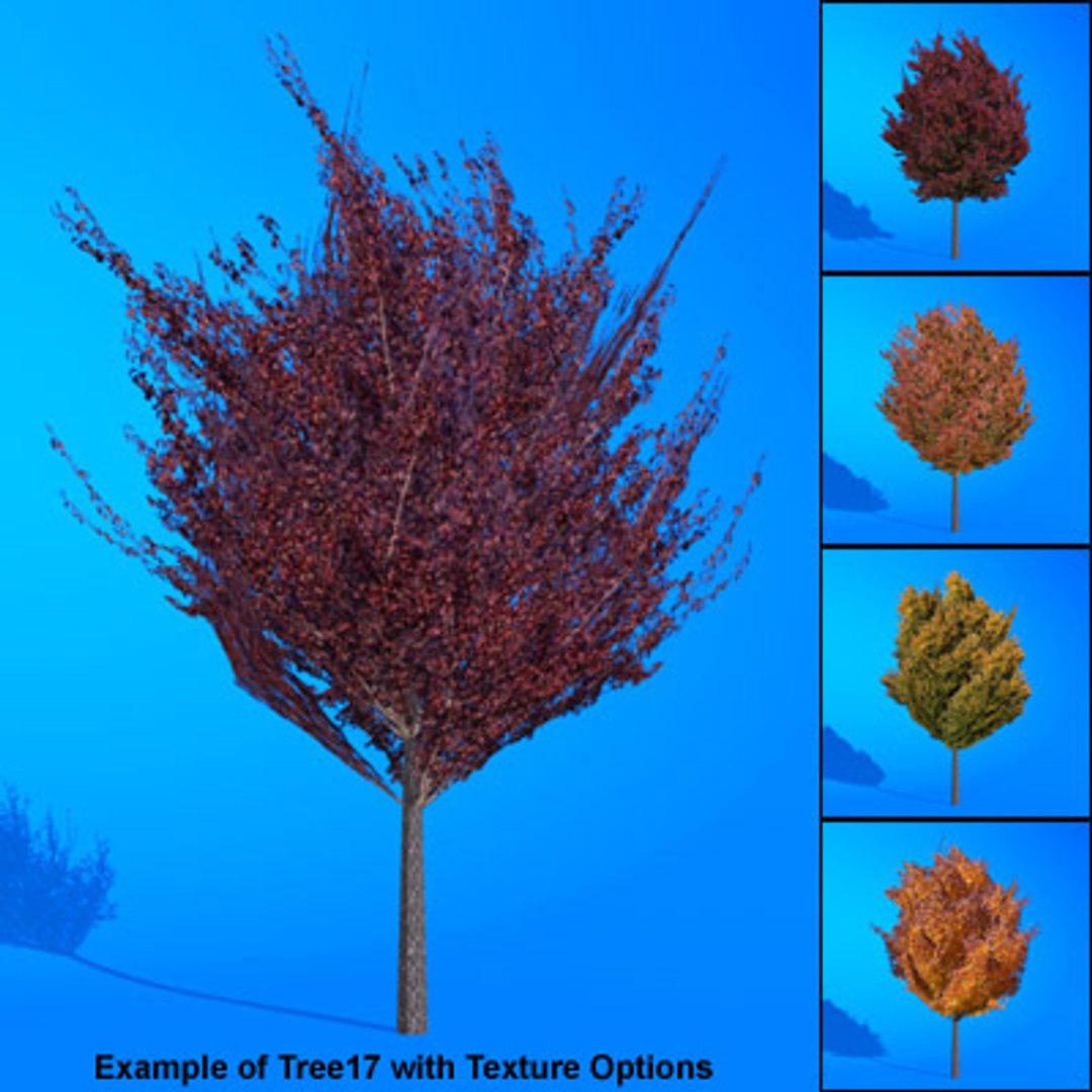 trees bark architectural 3d model