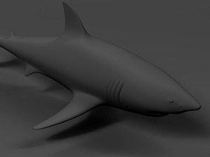 Free Shark 3D Models for Download | TurboSquid