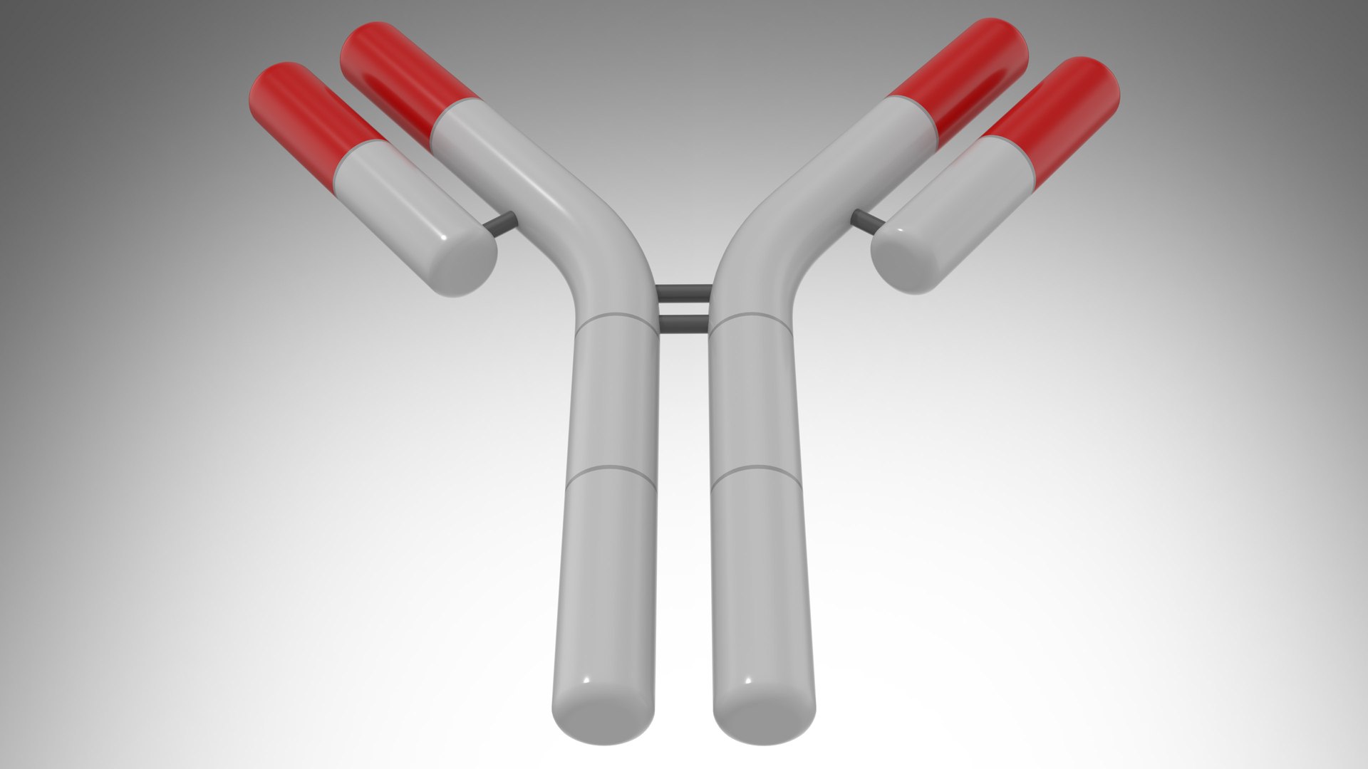 Antibody Model - TurboSquid 2024251