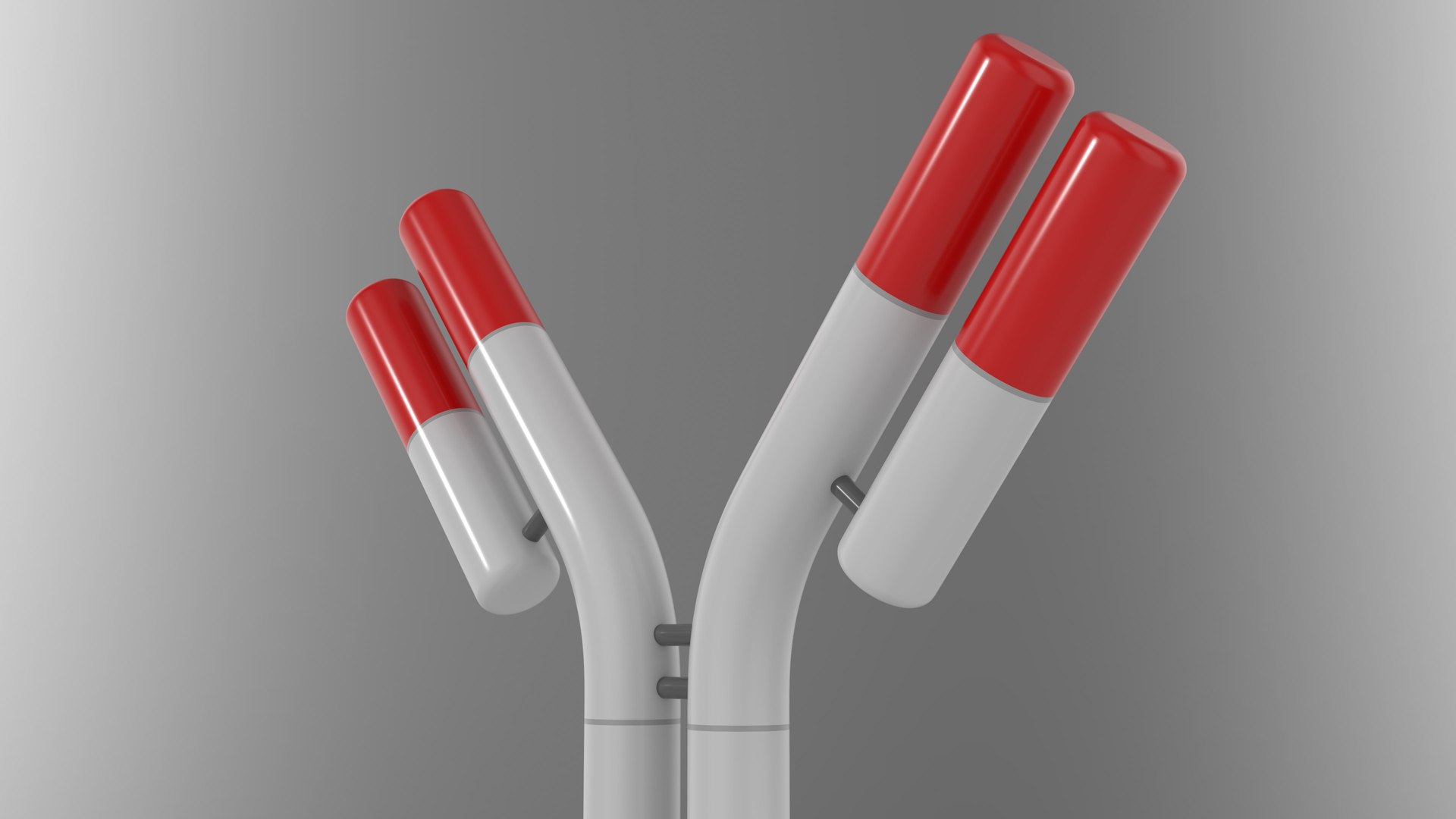 Antibody Model - TurboSquid 2024251