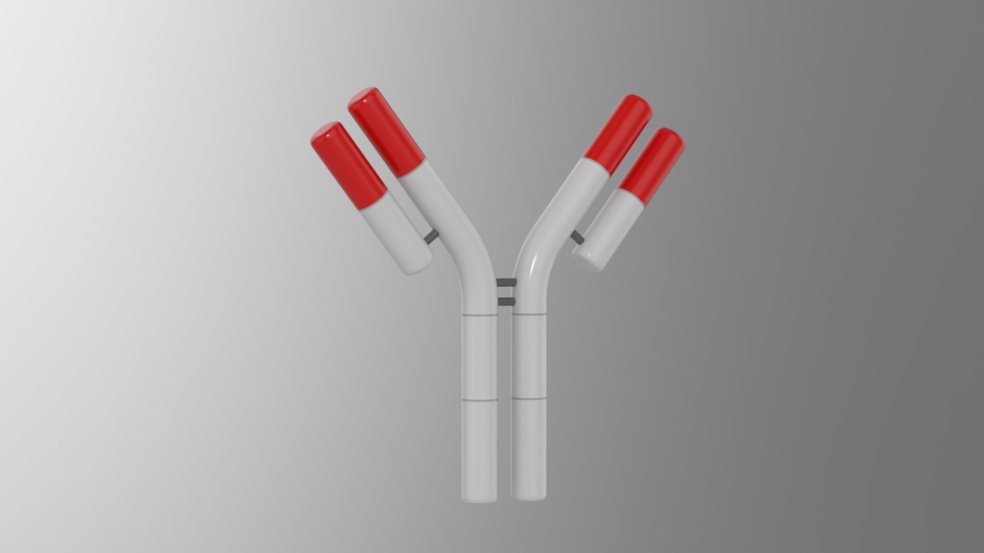 Antibody Model - TurboSquid 2024251