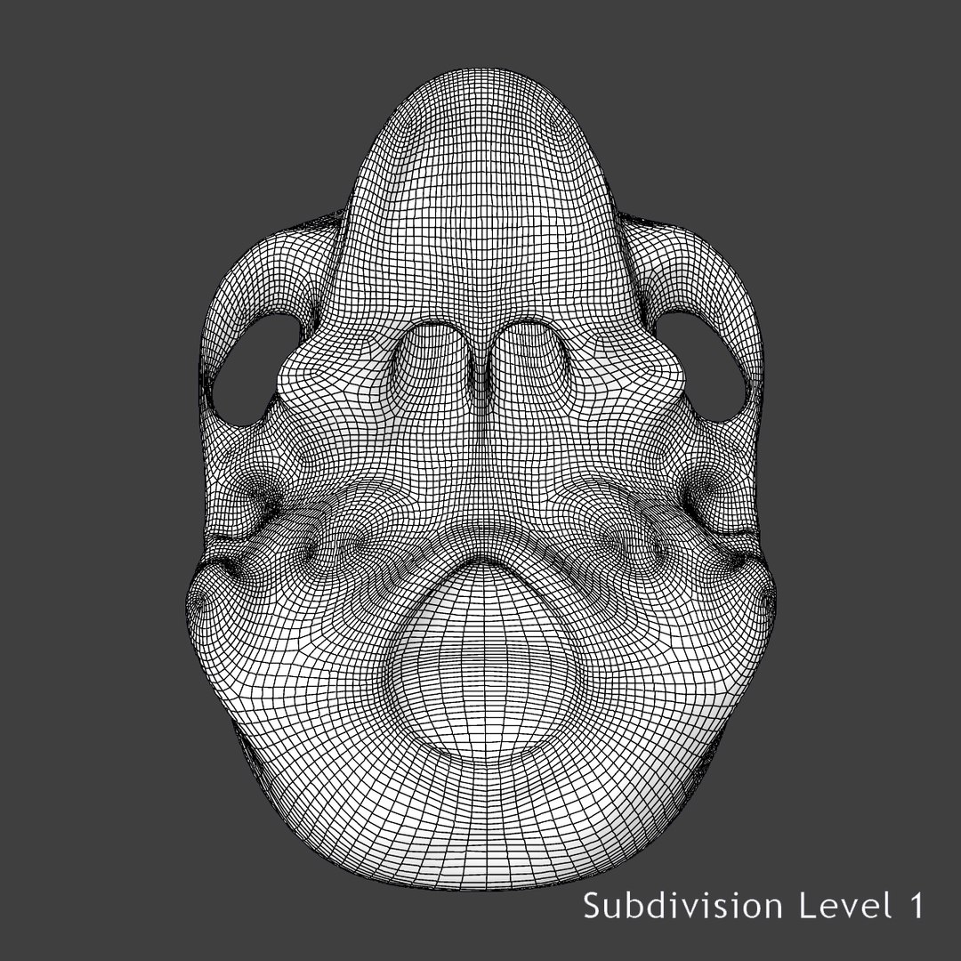 male human skeleton bone 3d max