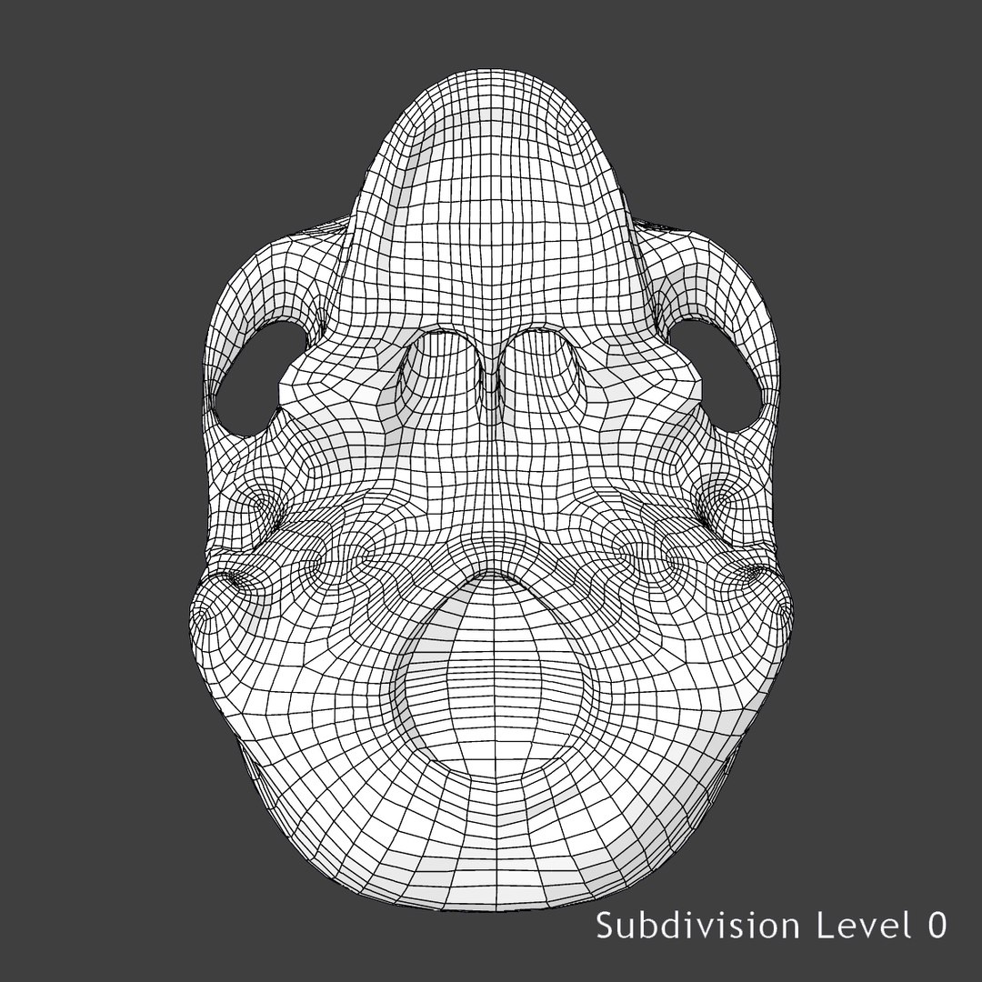 male human skeleton bone 3d max