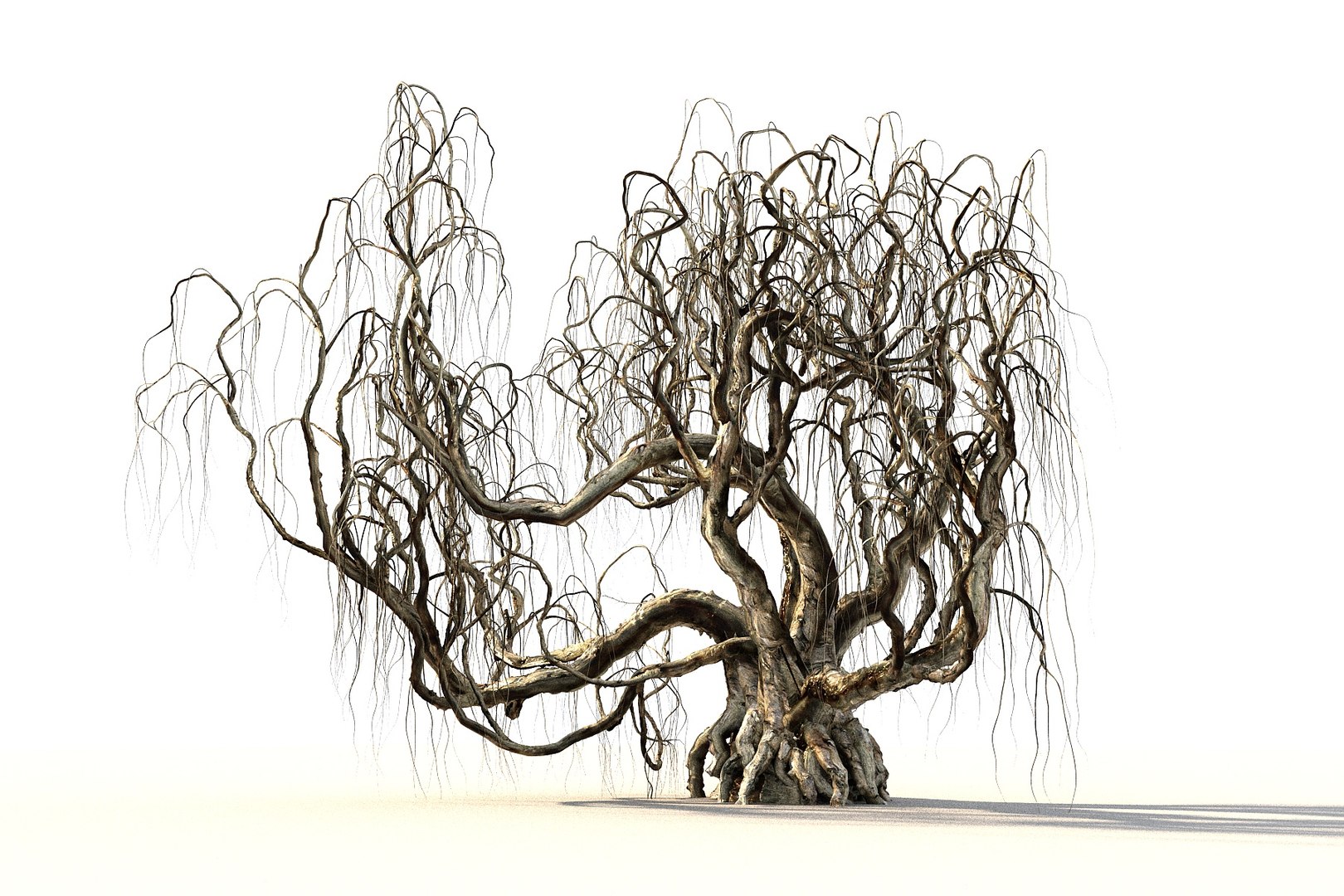 Spooky Tree 3D - TurboSquid 1346451