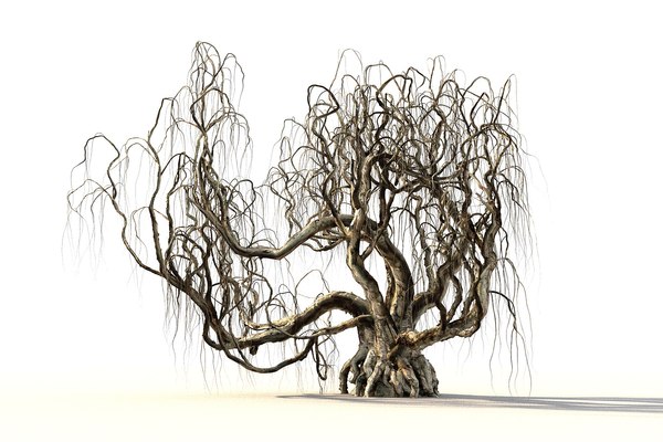 Spooky tree 3D - TurboSquid 1346451