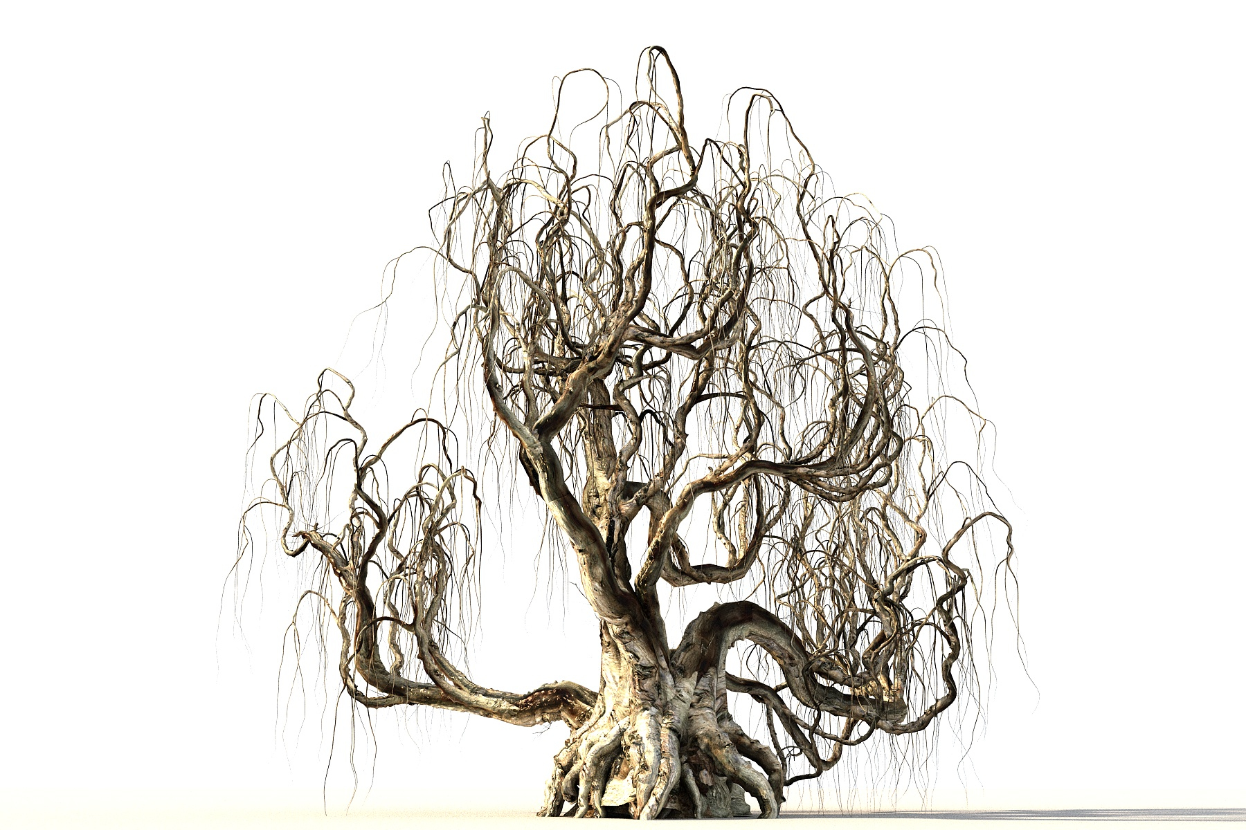Spooky tree 3D - TurboSquid 1346451