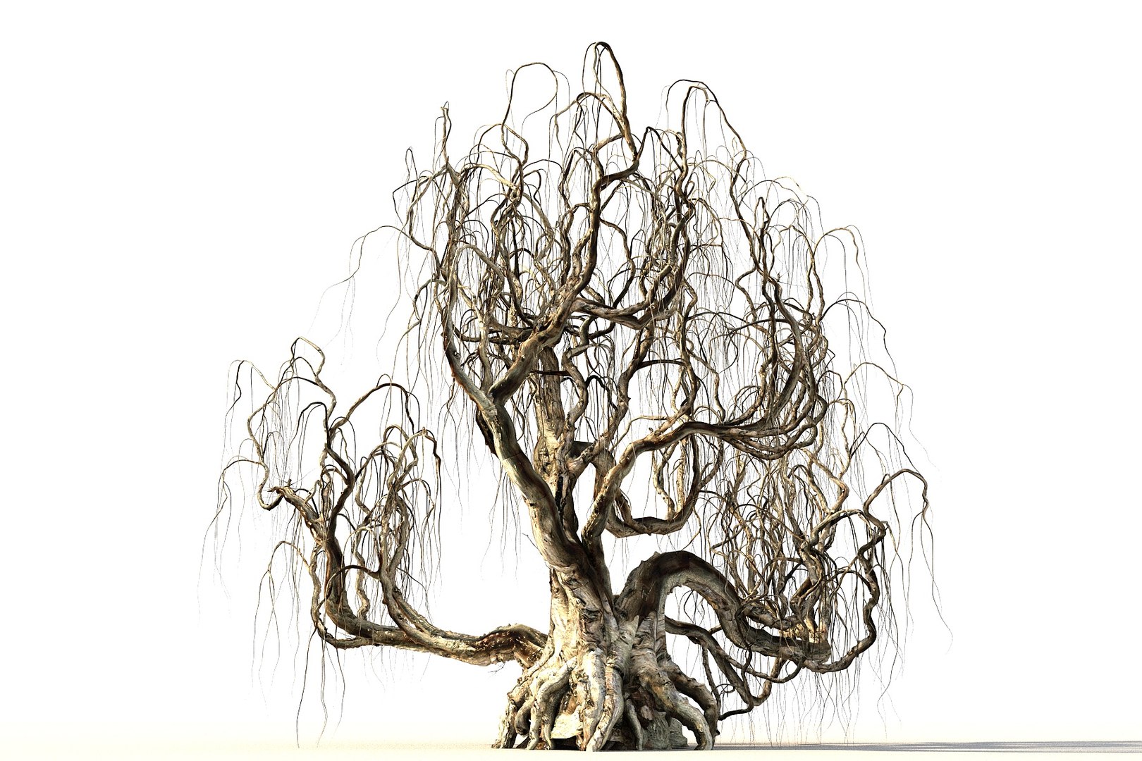 Spooky Tree 3D - TurboSquid 1346451