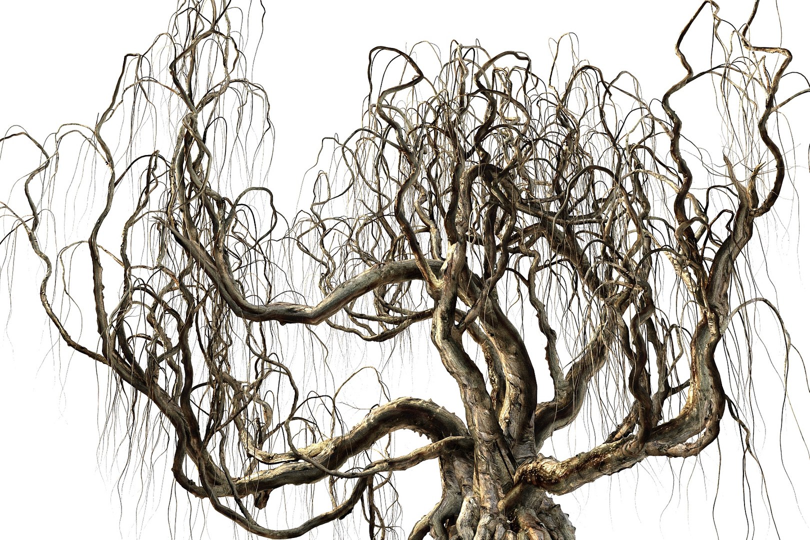 Spooky Tree 3D - TurboSquid 1346451