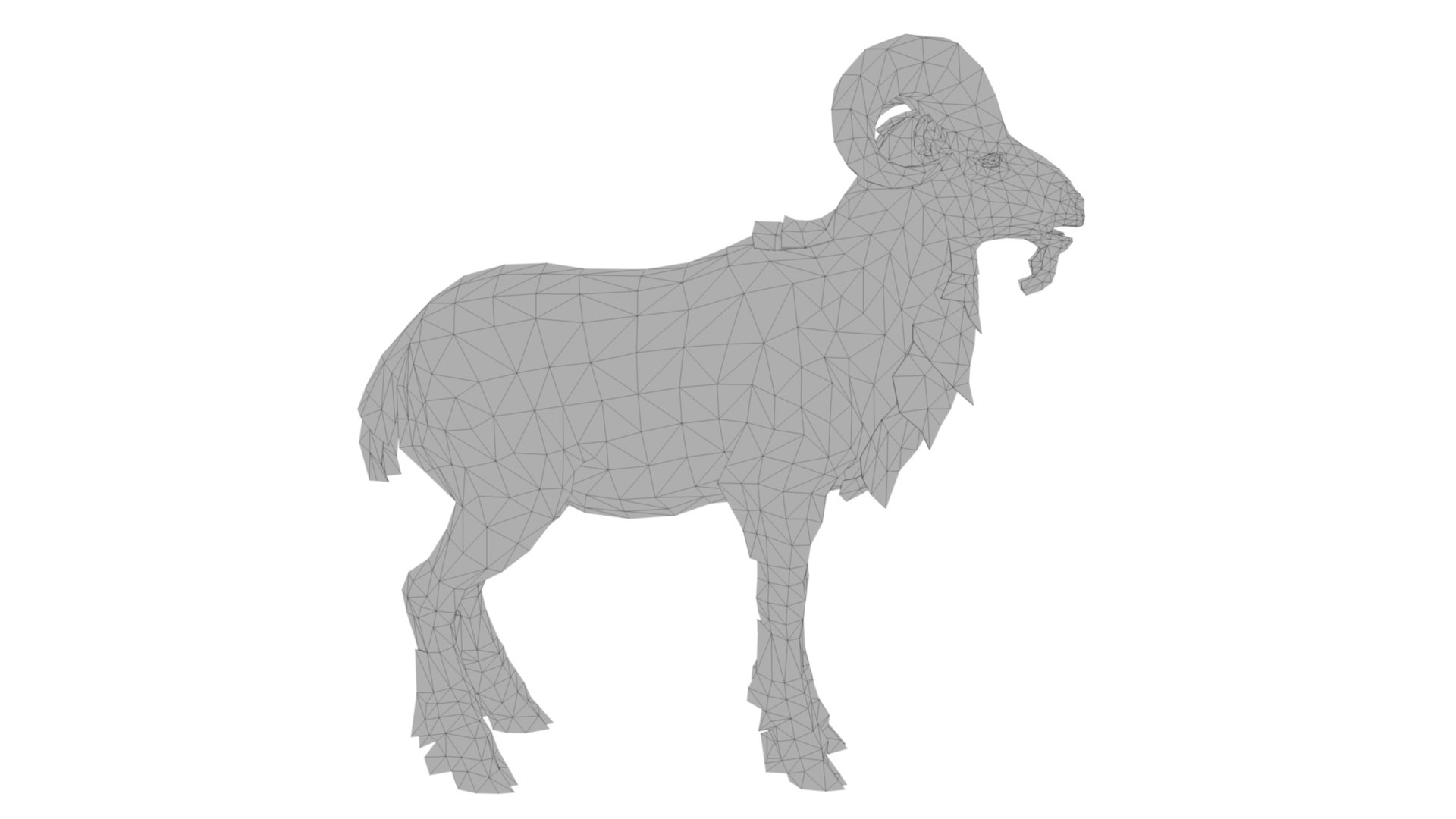 Sheep model - TurboSquid 1916150