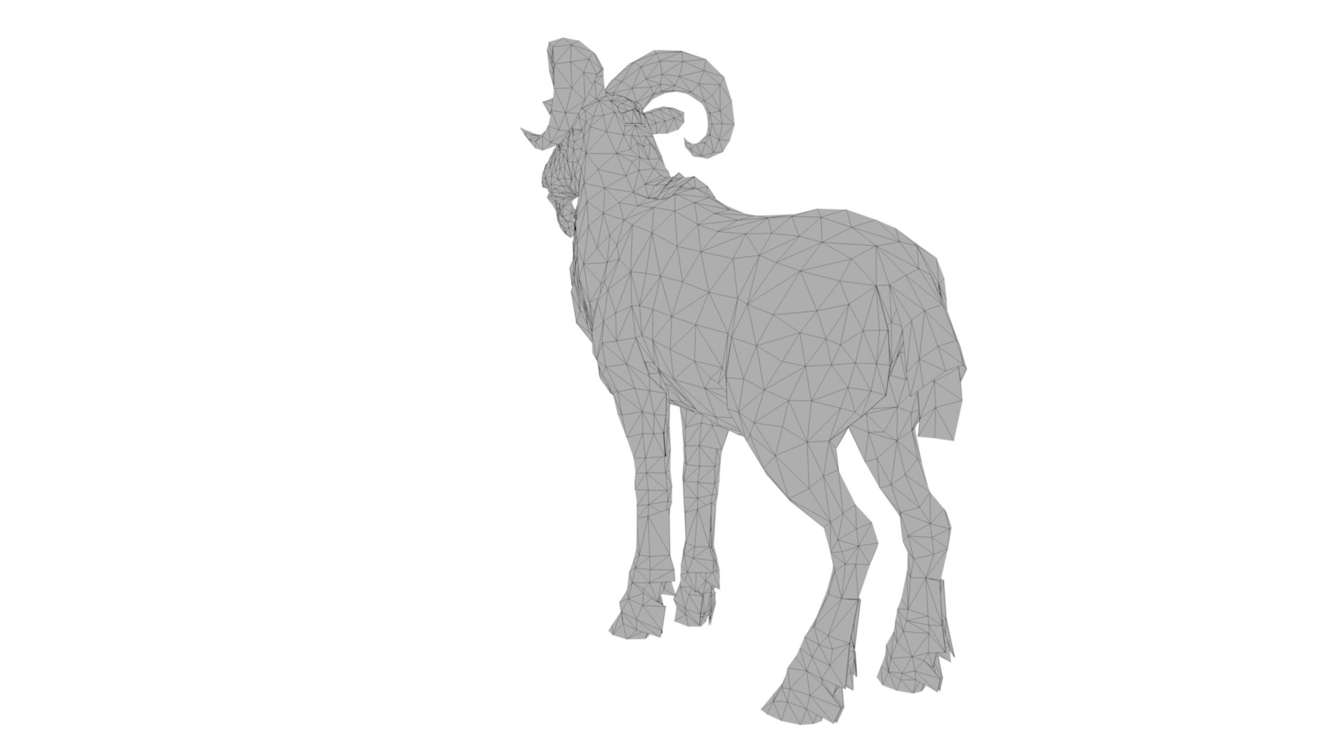 Sheep model - TurboSquid 1916150