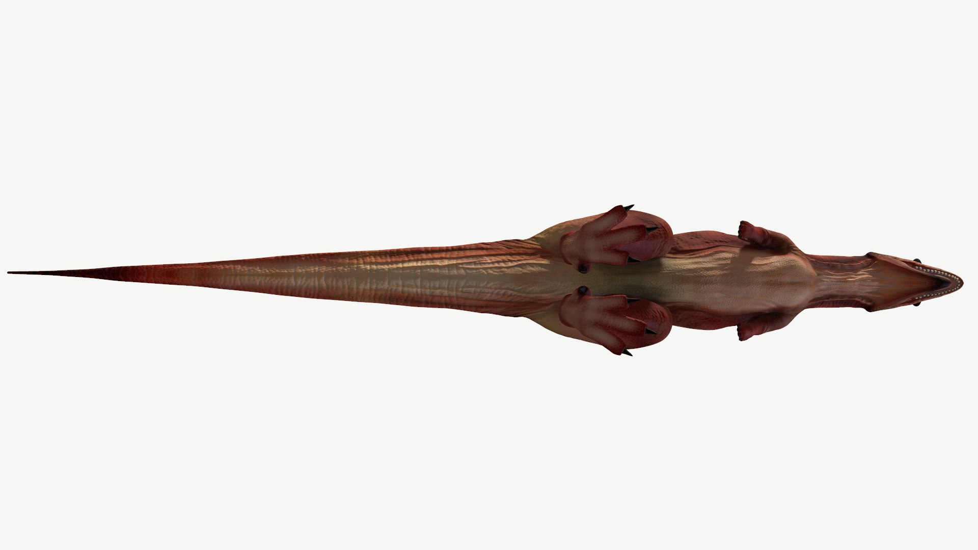 3d Carnotaurus T-rex