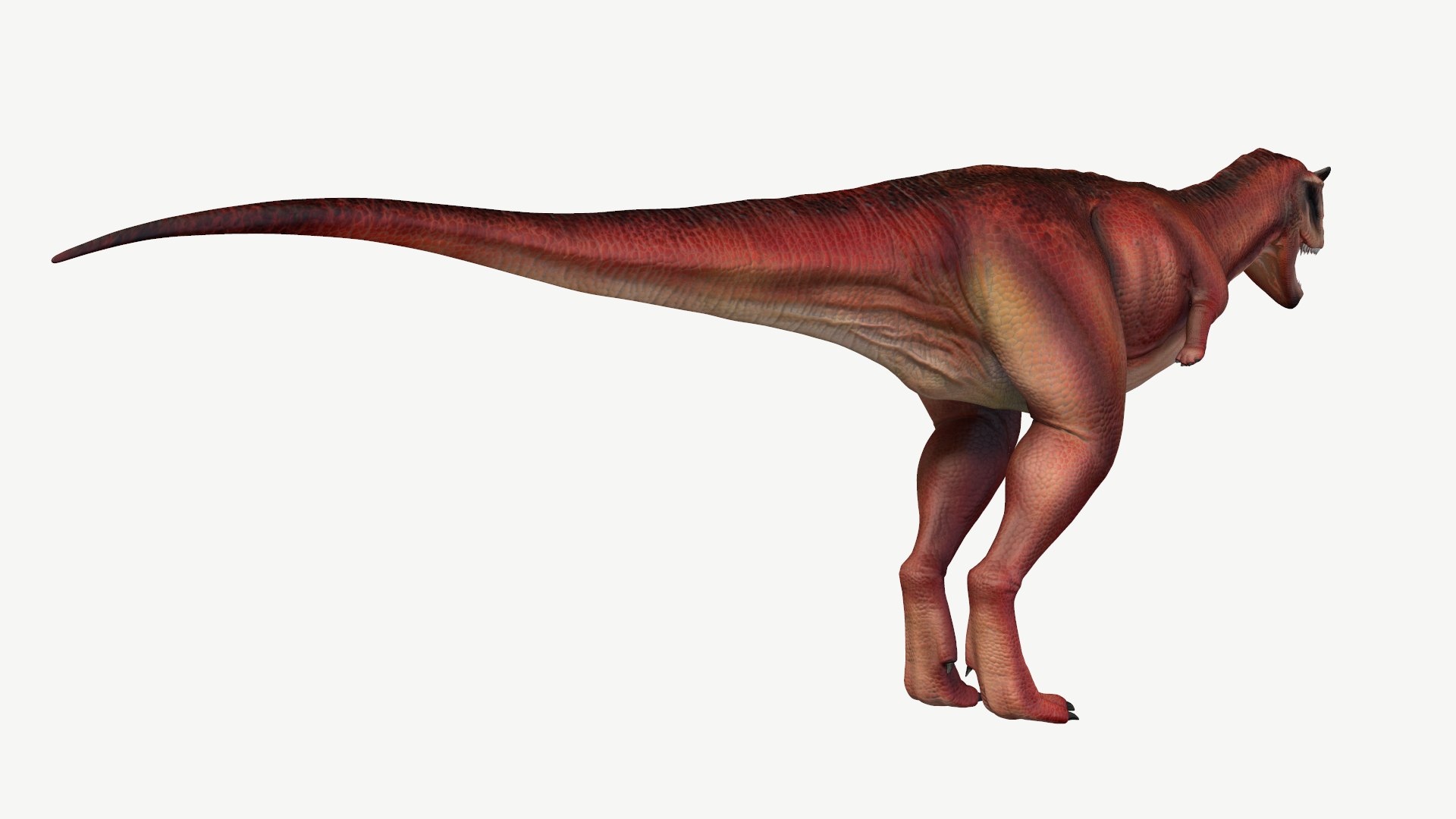 3d Carnotaurus T-rex